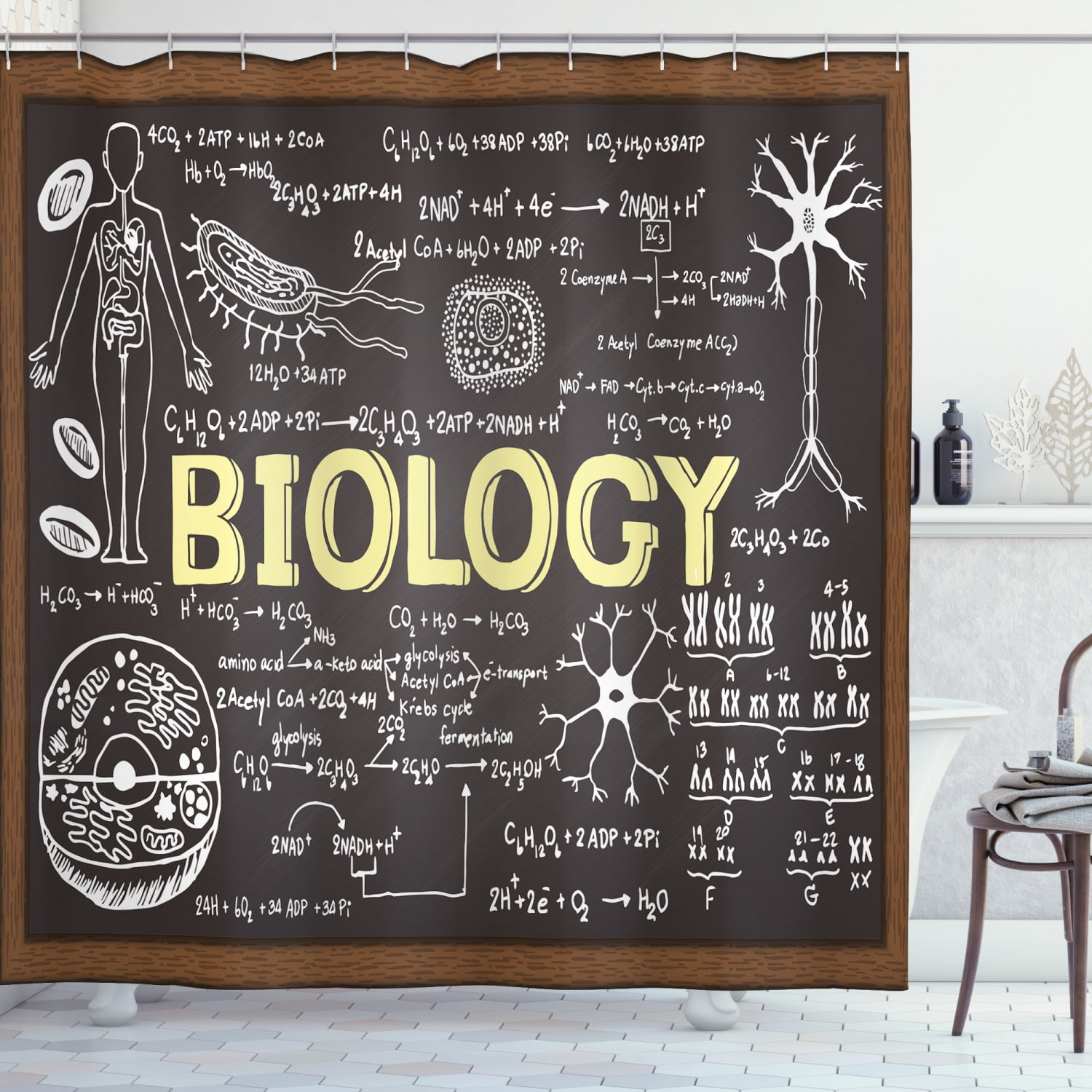 Ambesonne Science Shower Curtain, Biology, 69"Wx84"L, Black Brown Pale ...