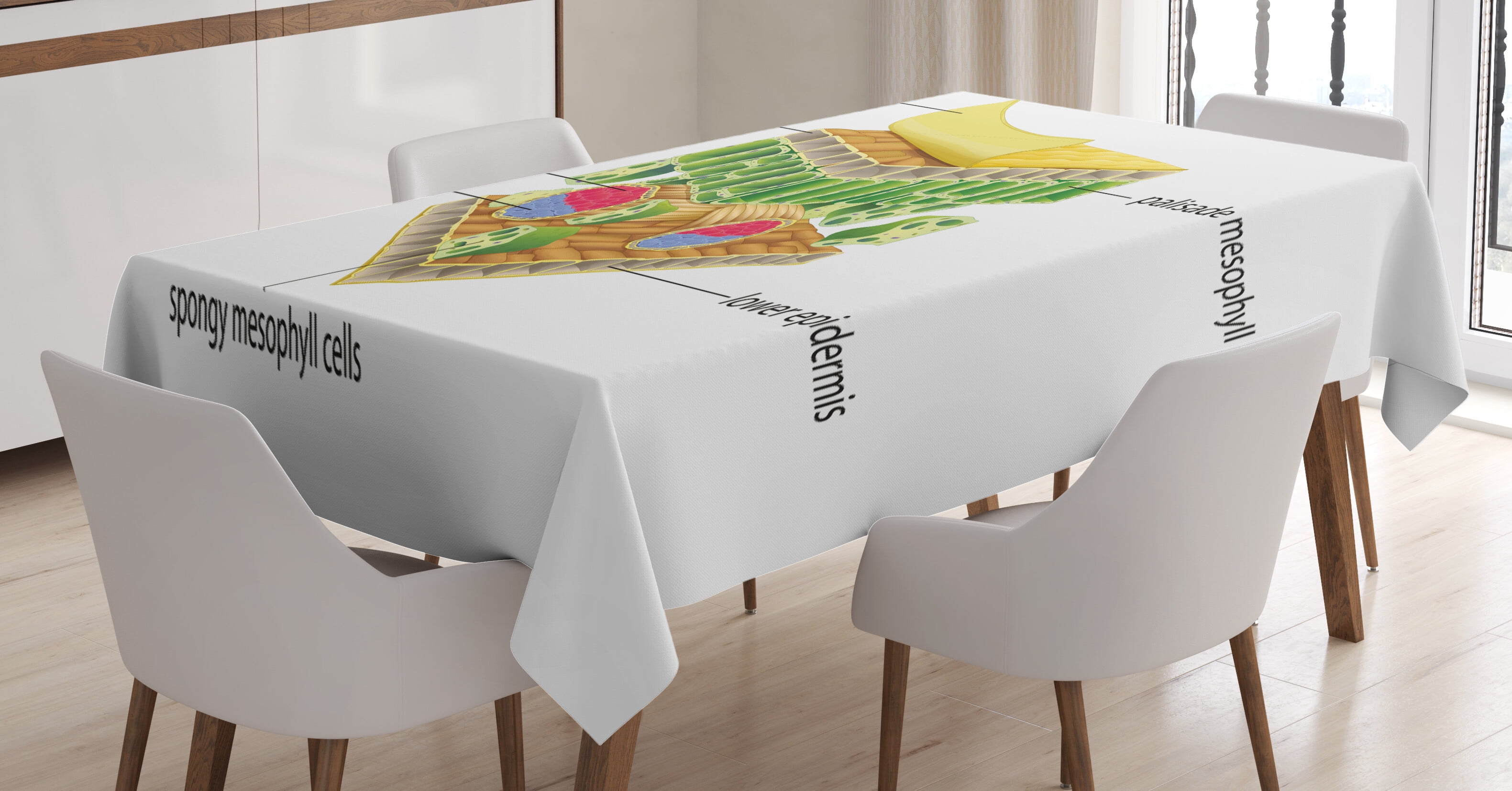 Ambesonne Science Tablecloth Rectangular Table Cover, Leaf Names Theme ...