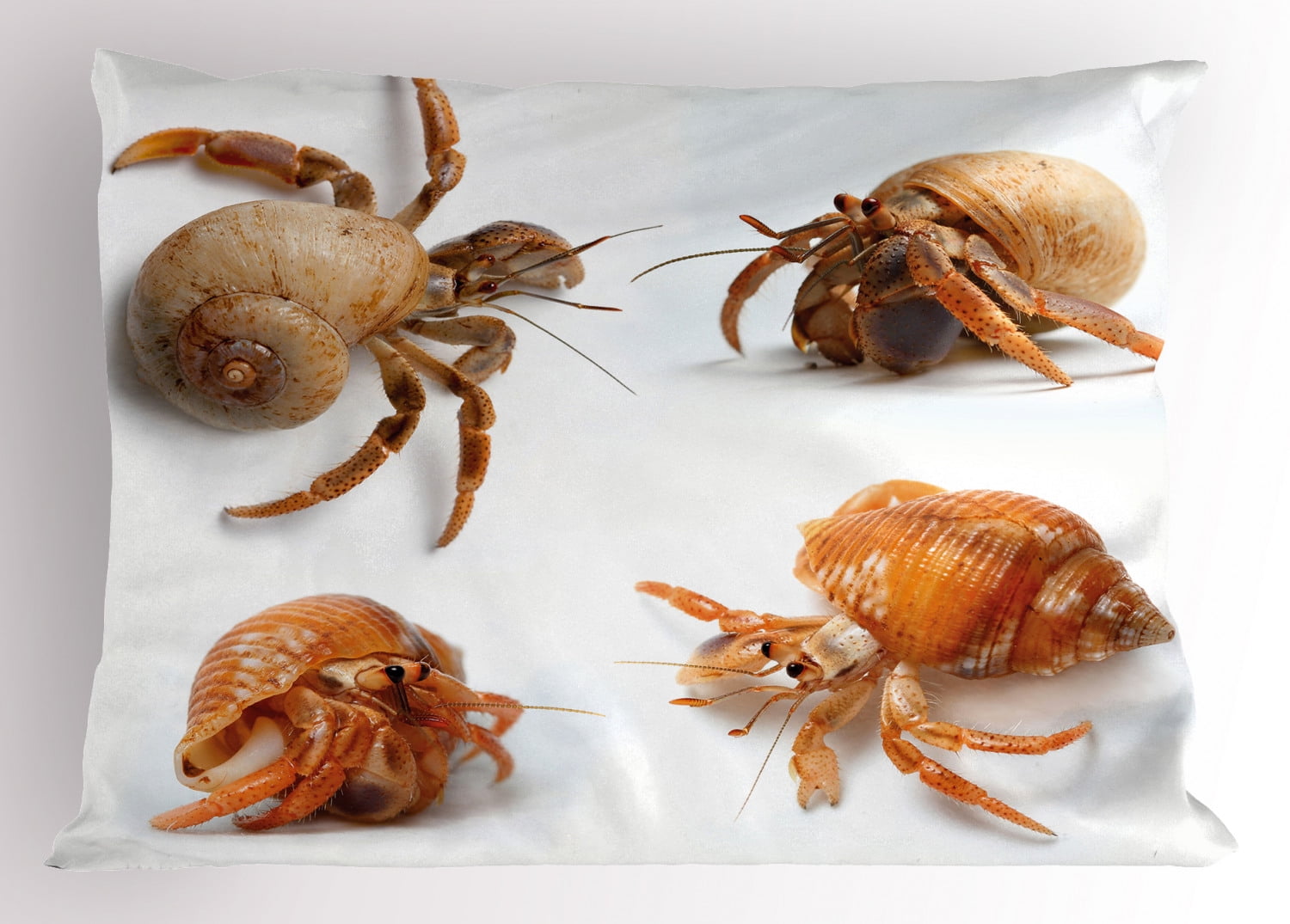 Ambesonne Sea Animals Pillow Sham, Hermit Crabs Pattern, 36" X 20 ...
