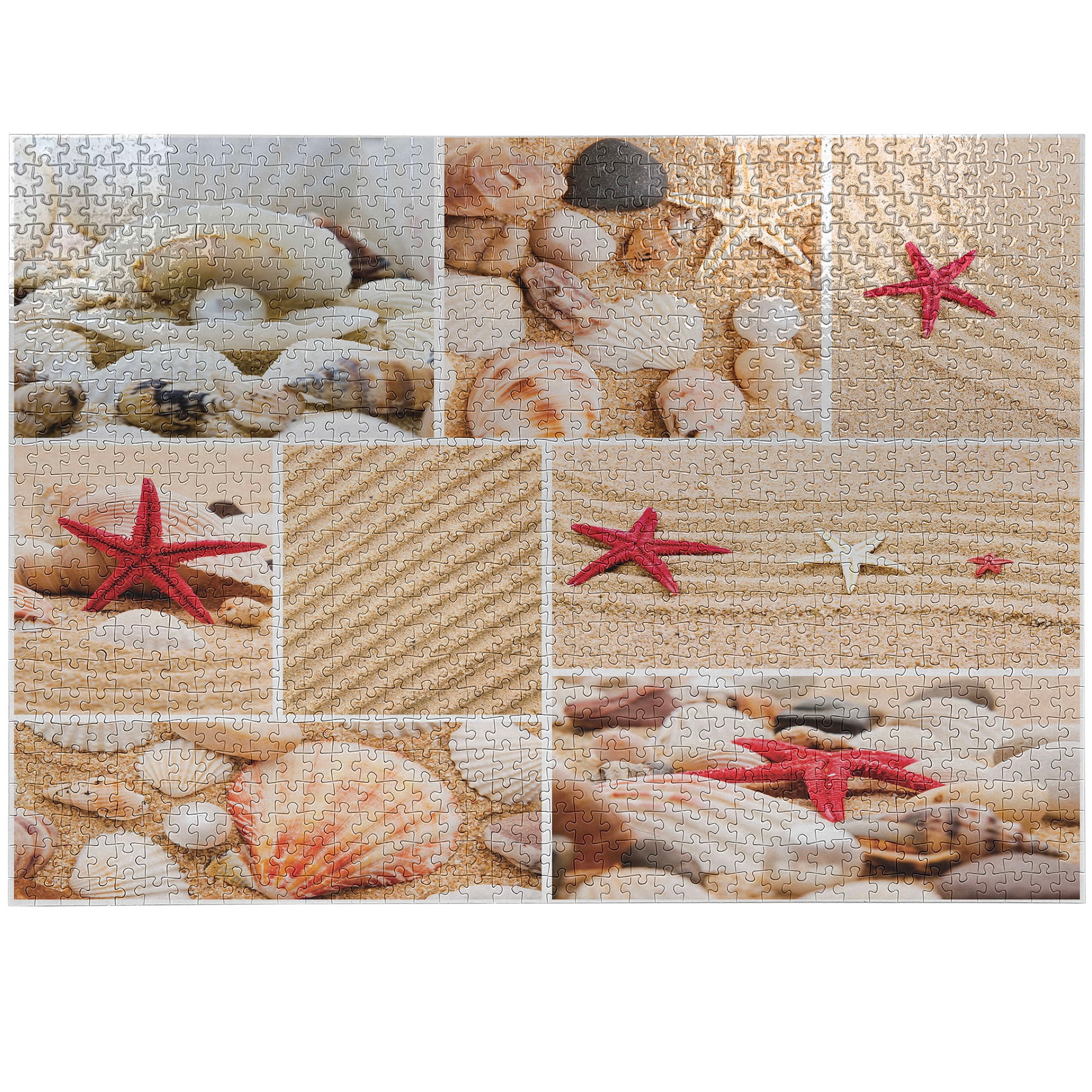 Ambesonne Tropical Jigsaw Puzzle Durable Cardboard, Seashells ...