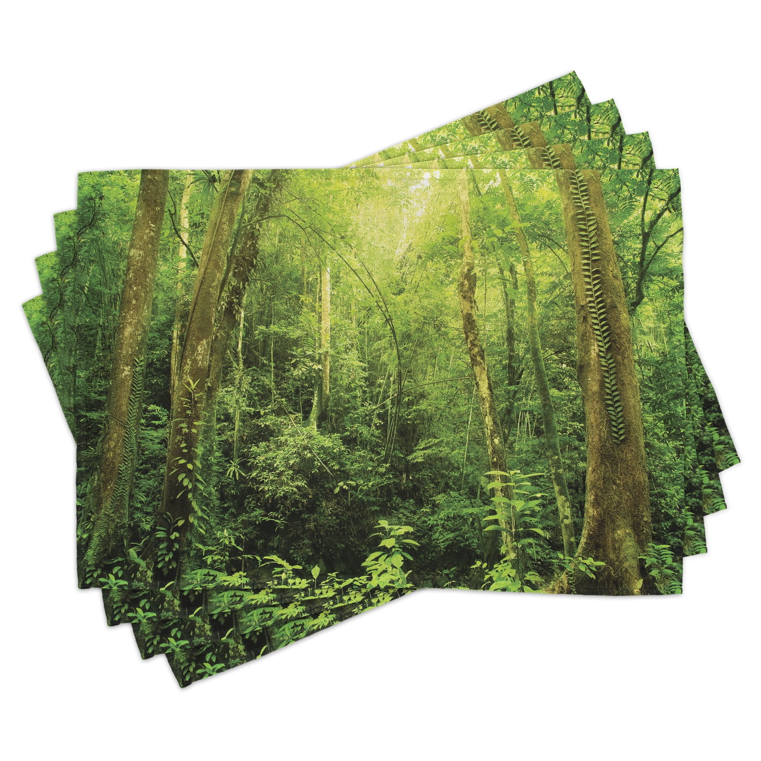 Ambesonne Tropical Place Mats Set of 4, Rainforest Landscape, Standard ...