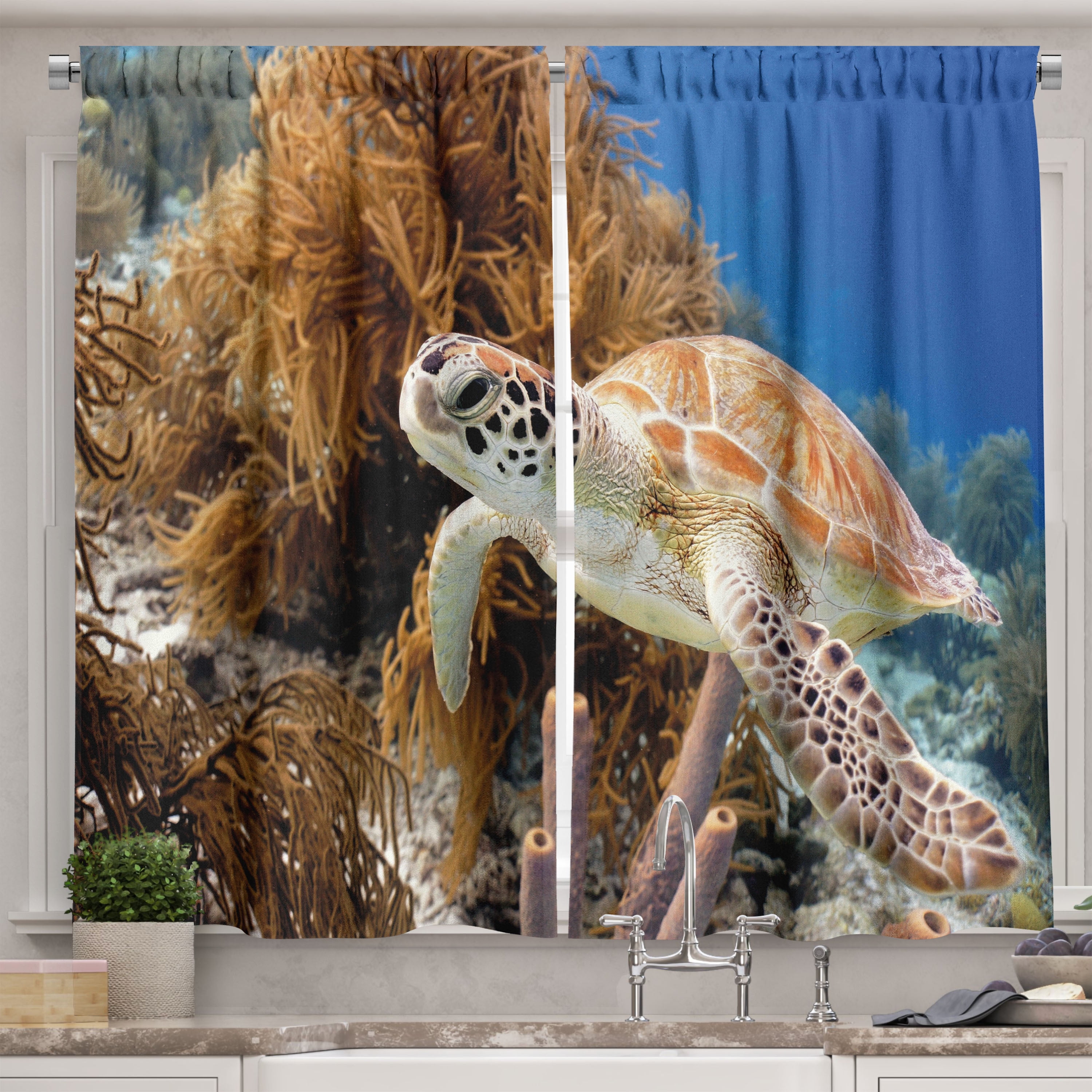 Ambesonne Turtle Kitchen Curtains, Tropic Waters Coral Reef, 55"x39 ...
