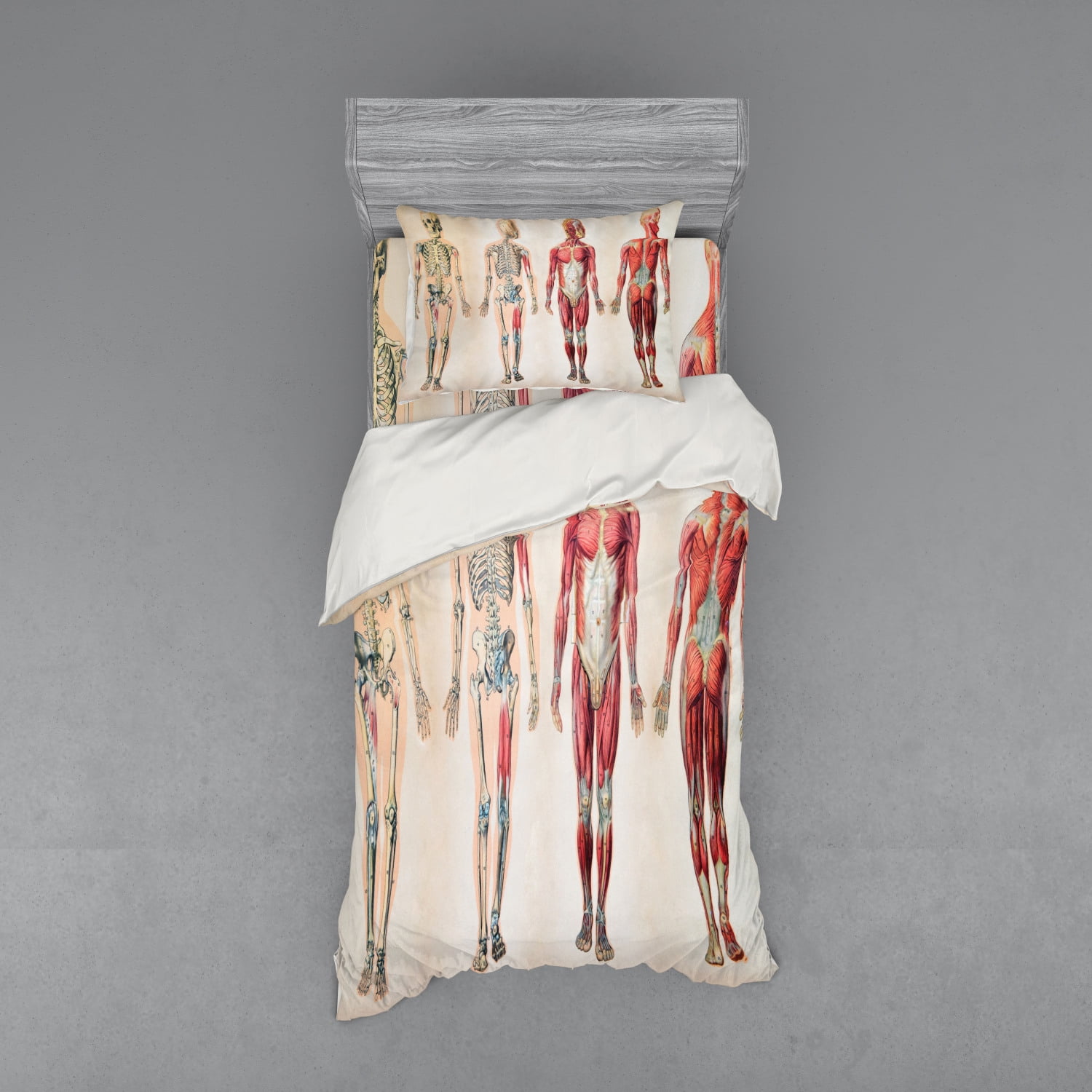 Ambesonne Vintage Bedding Set 3 Pcs, Anatomy Human Body, Twin XL, Ruby ...
