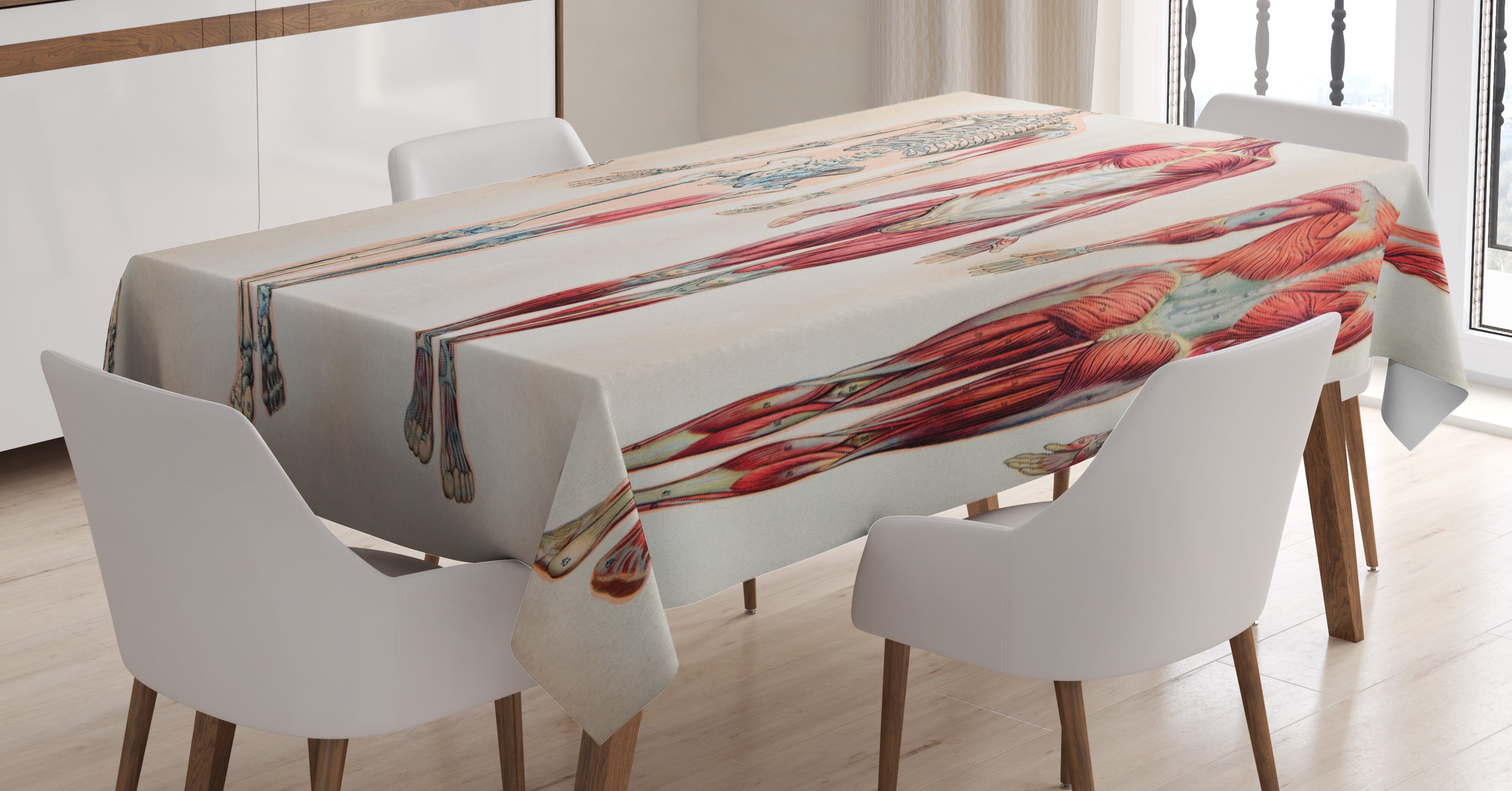 Ambesonne Vintage Tablecloth Rectangular Table Cover, Anatomy Human ...