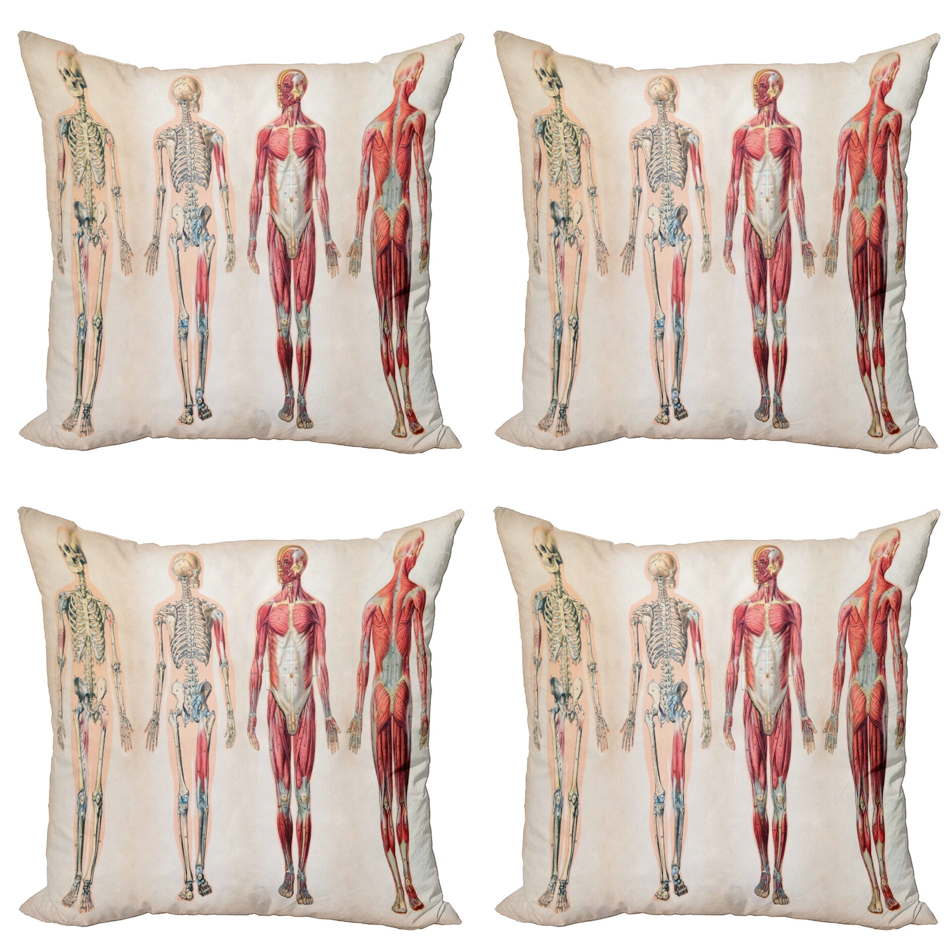 Ambesonne Vintage Throw Pillow Cover 4 Pack, Anatomy Human Body, 16 ...