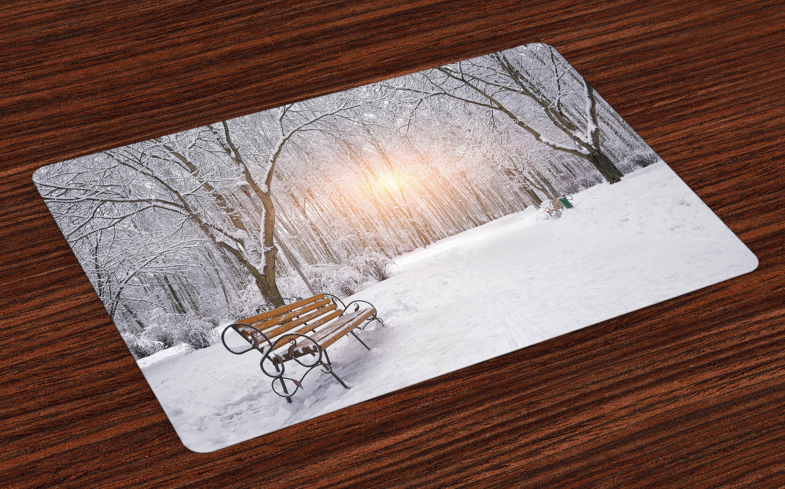 Ambesonne Winter Place Mats Set of 4, City Park Sunset Forest, Standard ...