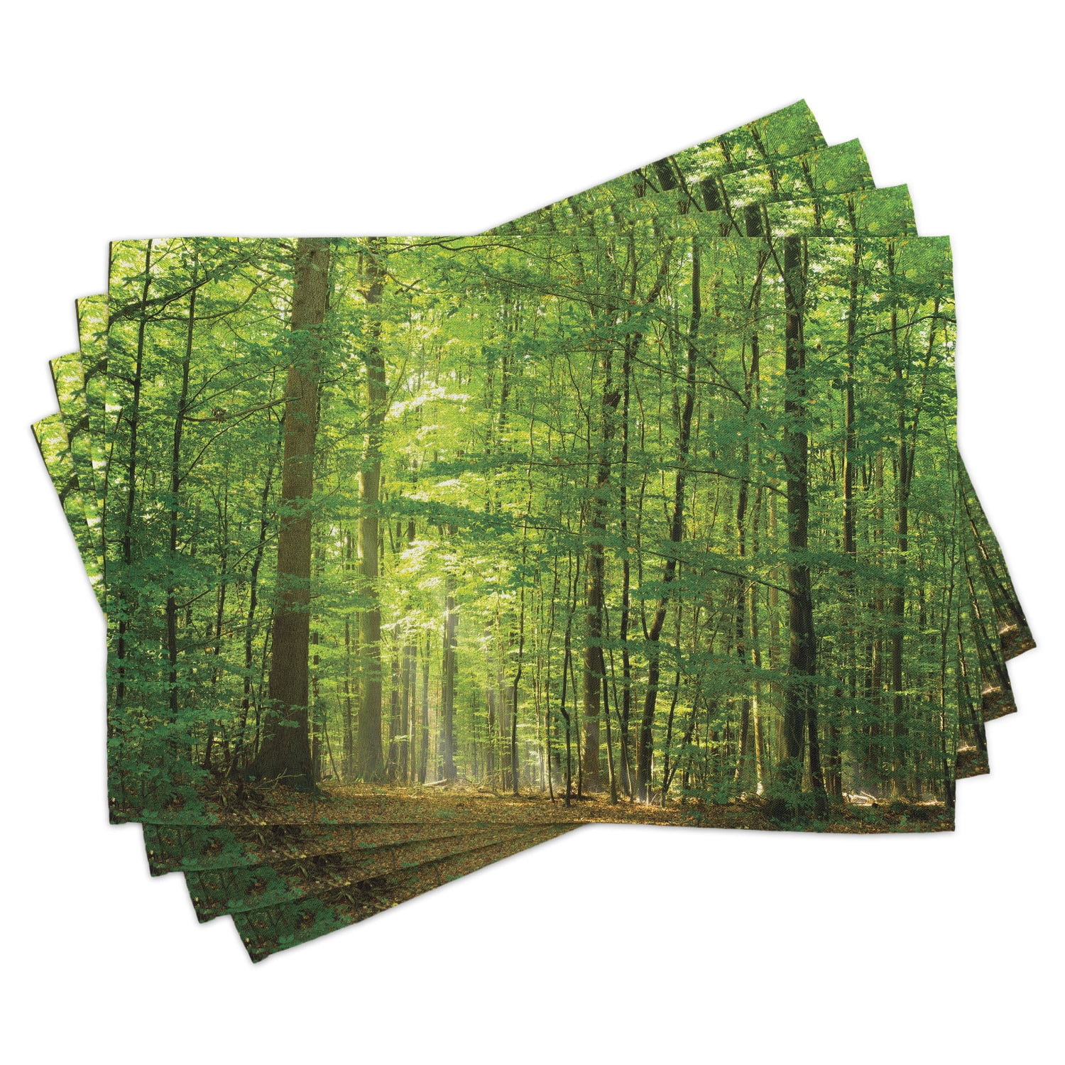 Ambesonne Woodland Place Mats Set of 4, Foliage Forest Summer, Standard ...