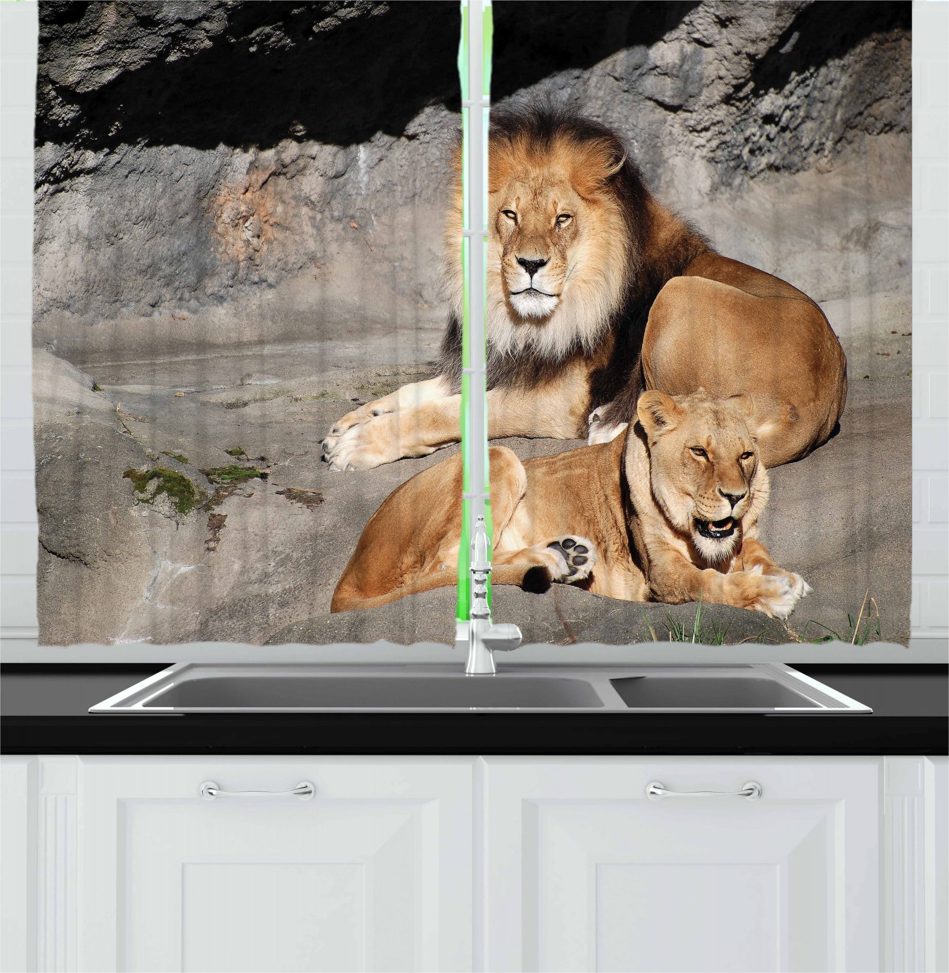 Ambesonne Zoo Kitchen Curtains, Lions Basking in Sun Jungle, 55"x45 ...