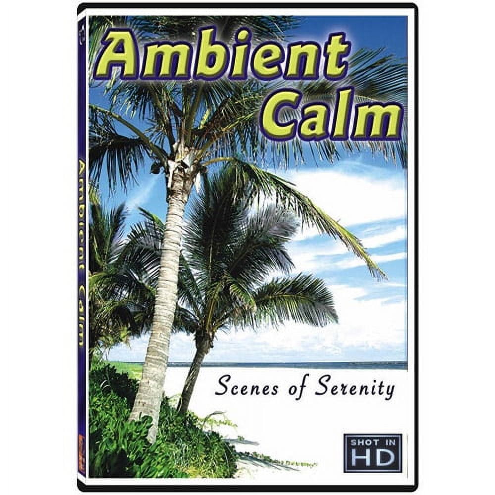 Pre-Owned Ambient Calm DVD - Walmart.com