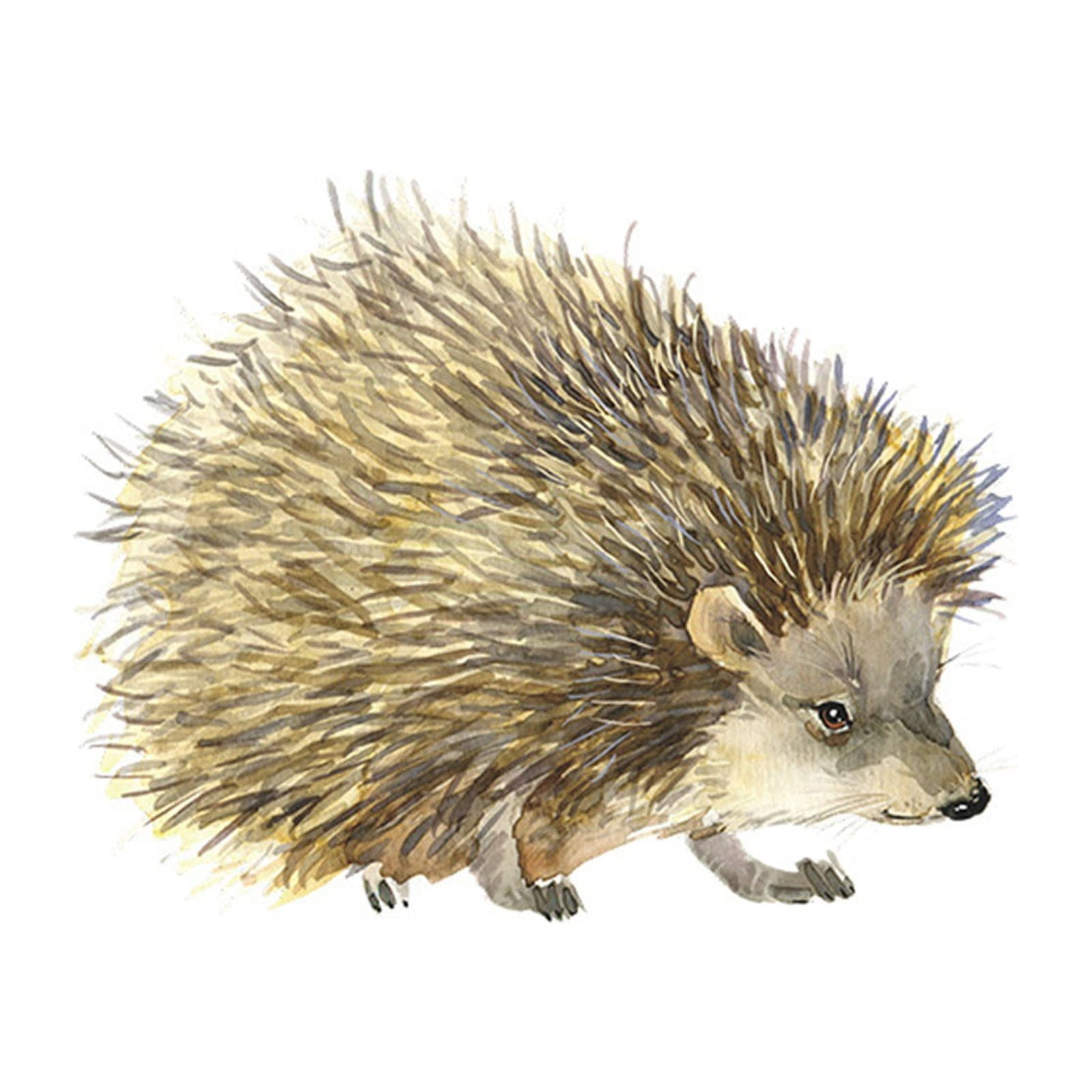 Ambient Lighting Photography Water Dunking Booth Water Proof Decals ...