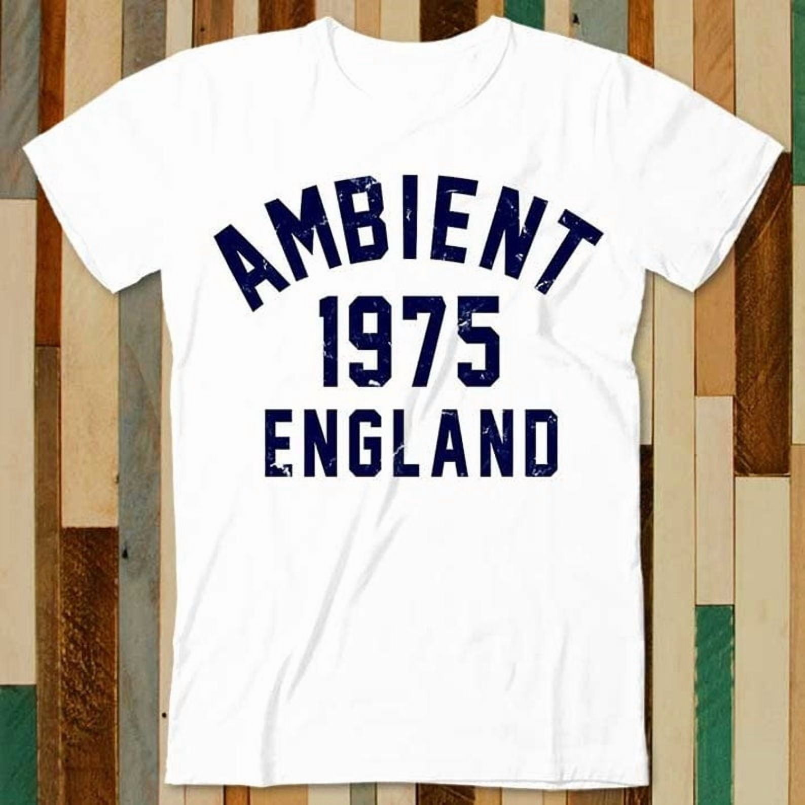 Ambient Music 1975 Brian Eno The Orb Synthesizer T Shirt Adult Unisex Men Women Retro Design Tee ...