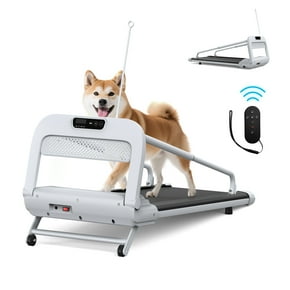 Dog Treadmills in Dogs - Walmart.com