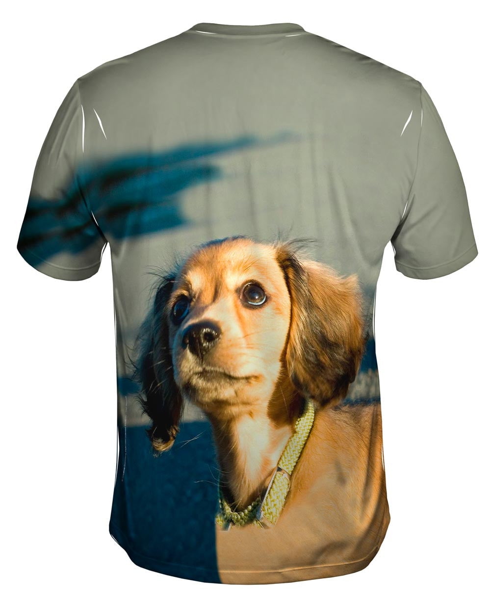 Ambitious Dachshund Puppy Mens T-Shirt All Over Print - Walmart.com