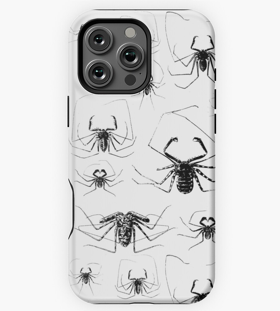 Amblypygi Tailless whip scorpion arachnid spider scary creepy black and ...
