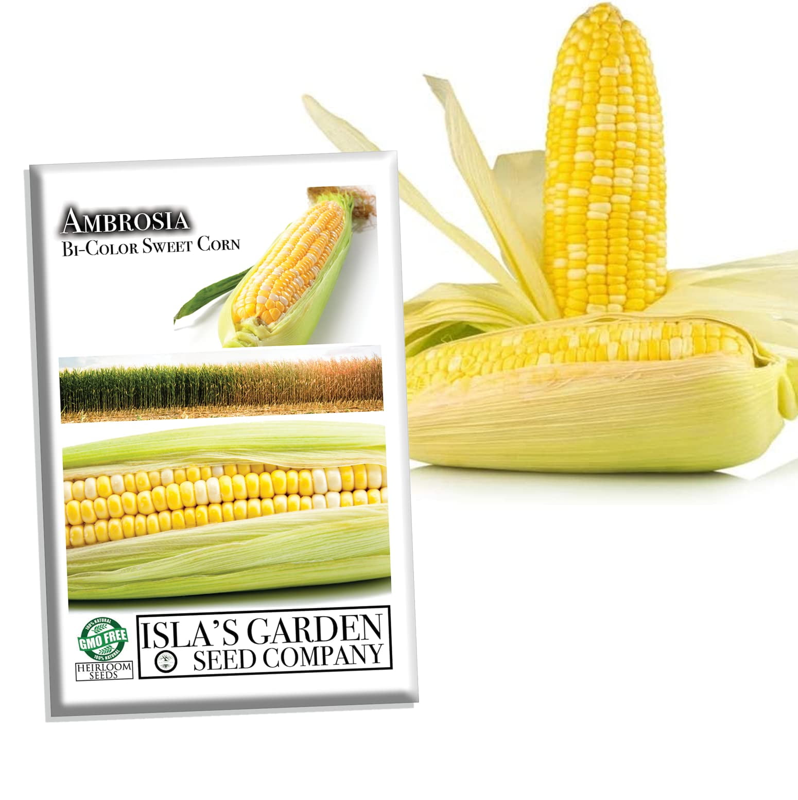Ambrosia Bi-Color SweetEGSC Corn Seeds for Planting, 50+ Seeds Per ...
