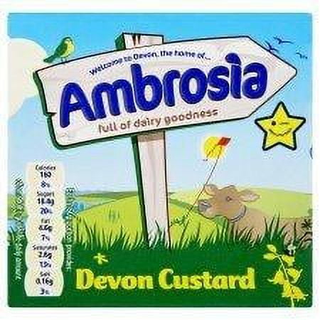 Ambrosia Devon Custard 500G - Walmart.com