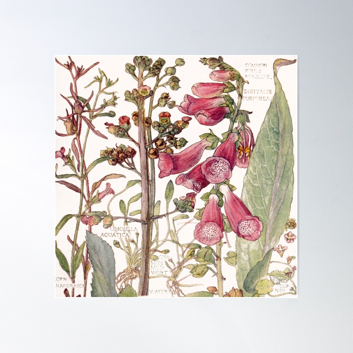 Ambrosia X Poster Wall Art, Modern Wall Decor For Living Room Bedroom ...