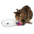 Ambush Interactive Cat Toys For Indoor/outdoor Activity - & Improved ...
