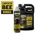Amdro Carpenter Bee Pest Killer Bundle, Outdoor - Walmart.com