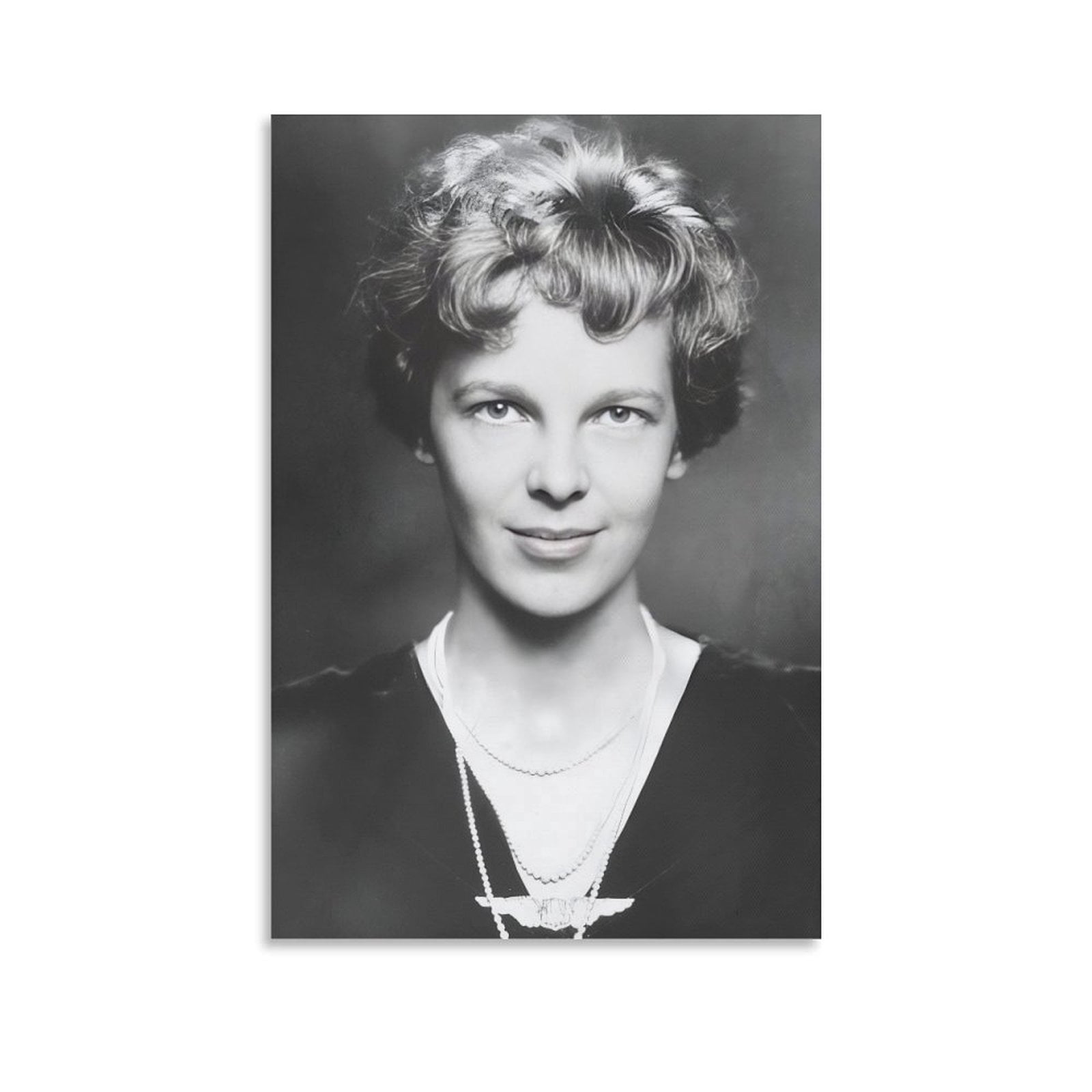 Amelia Earhart 19th Century American Women Aviator Poster3 Artworks ...