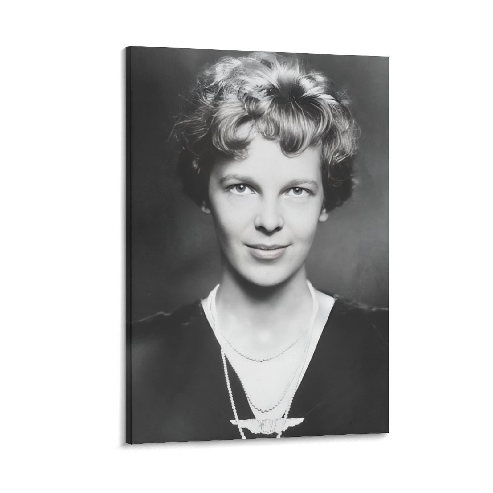 Amelia Earhart 19th Century American Women Aviator Poster3 Wall Art ...