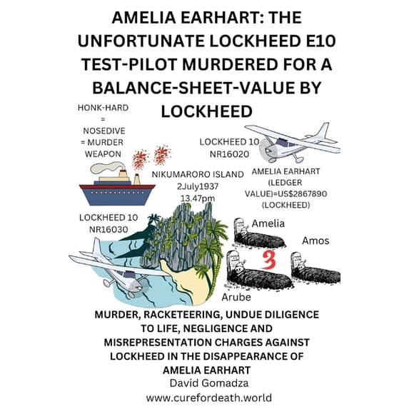 Amelia Earhart: The Unfortunate Lockheed E10 Test-Pilot Murdered for a ...
