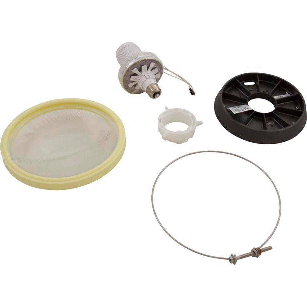 AmerBrite 120V, 500W, White LED Replacement Lamp for Amerlite Light ...