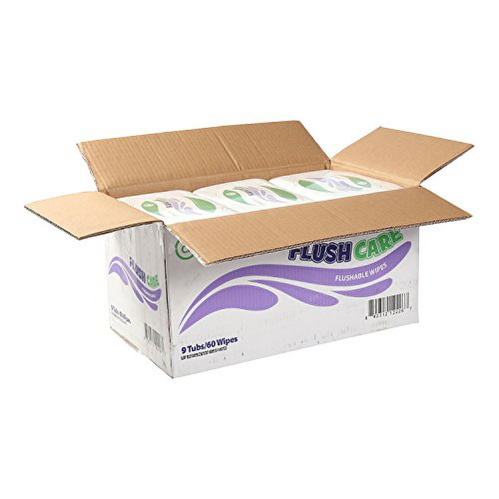 AmerCare 9 Inch x 11 Inch Spunlace Personal Care Wipes, Case of 540 ...