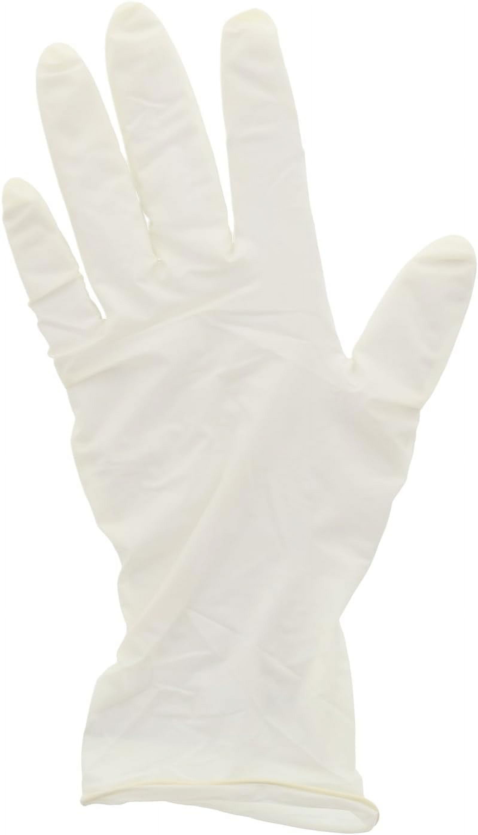 AmerCare Verge Powder Free Gloves, Latex - Walmart.com
