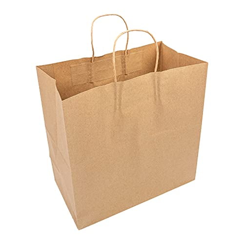 AmerCareRoyal Case of 250 Recyclable Kraft Paper Bags with Twisted ...