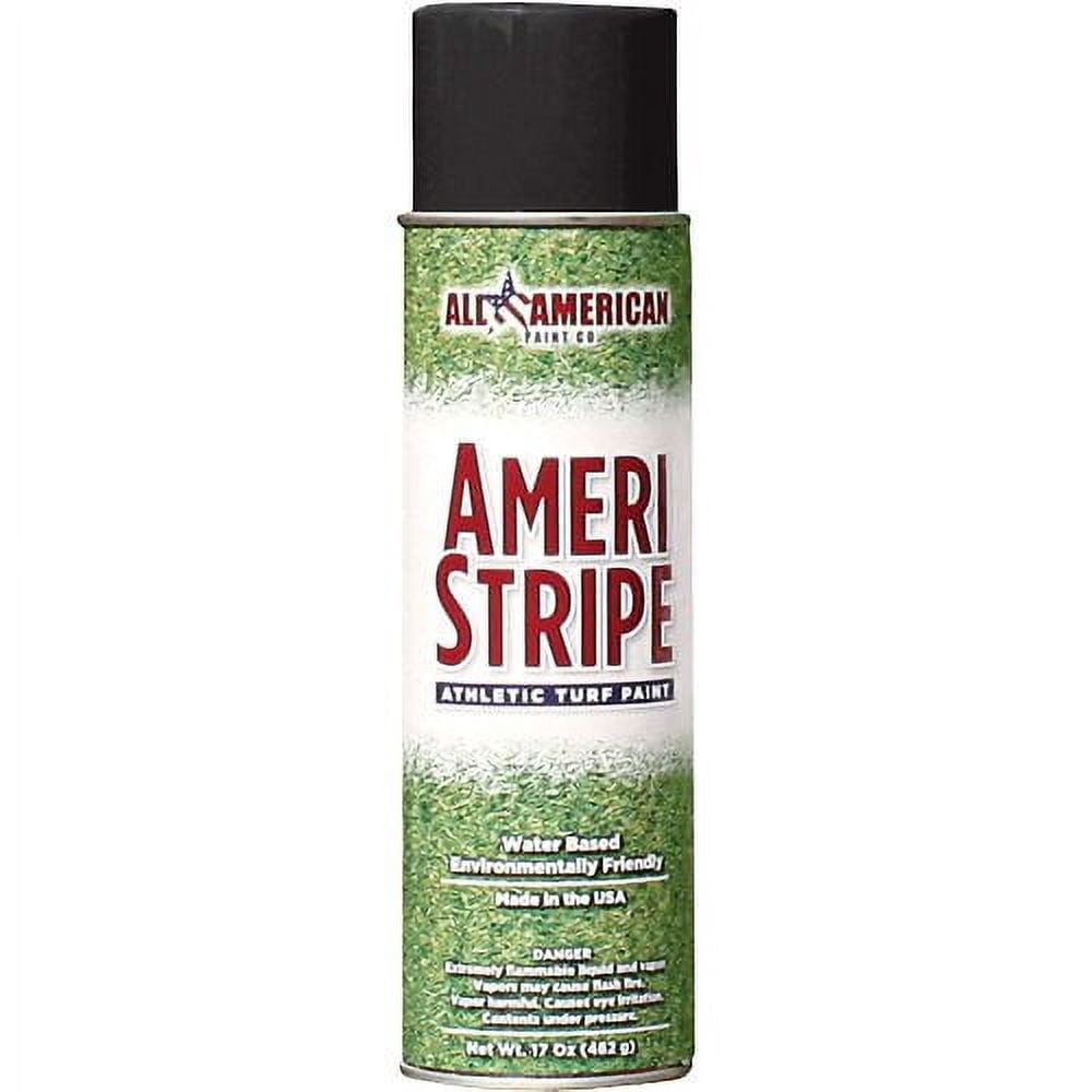 Ameri-Stripe Black Athletic Field Paint - 1 Case (12 Cans) 18 oz of ...