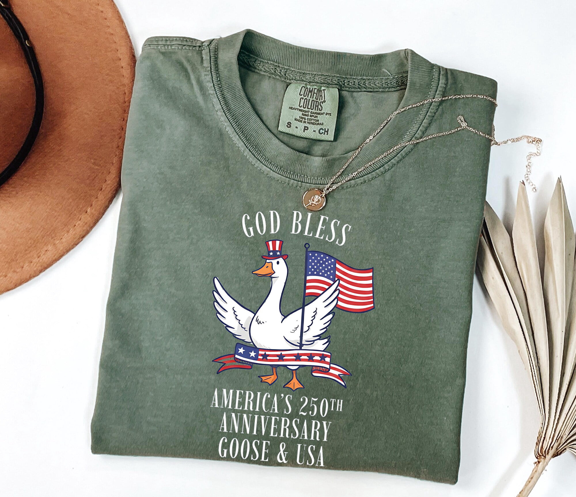 America 250 Years Shirt Funny Patriotic Tee Silly Goose Tshirt Civil ...
