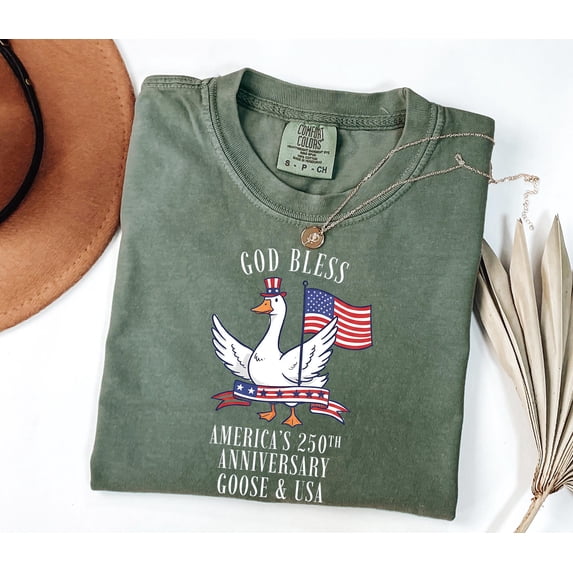 America 250 Years Shirt Funny Patriotic Tee Silly Goose Tshirt Civil ...