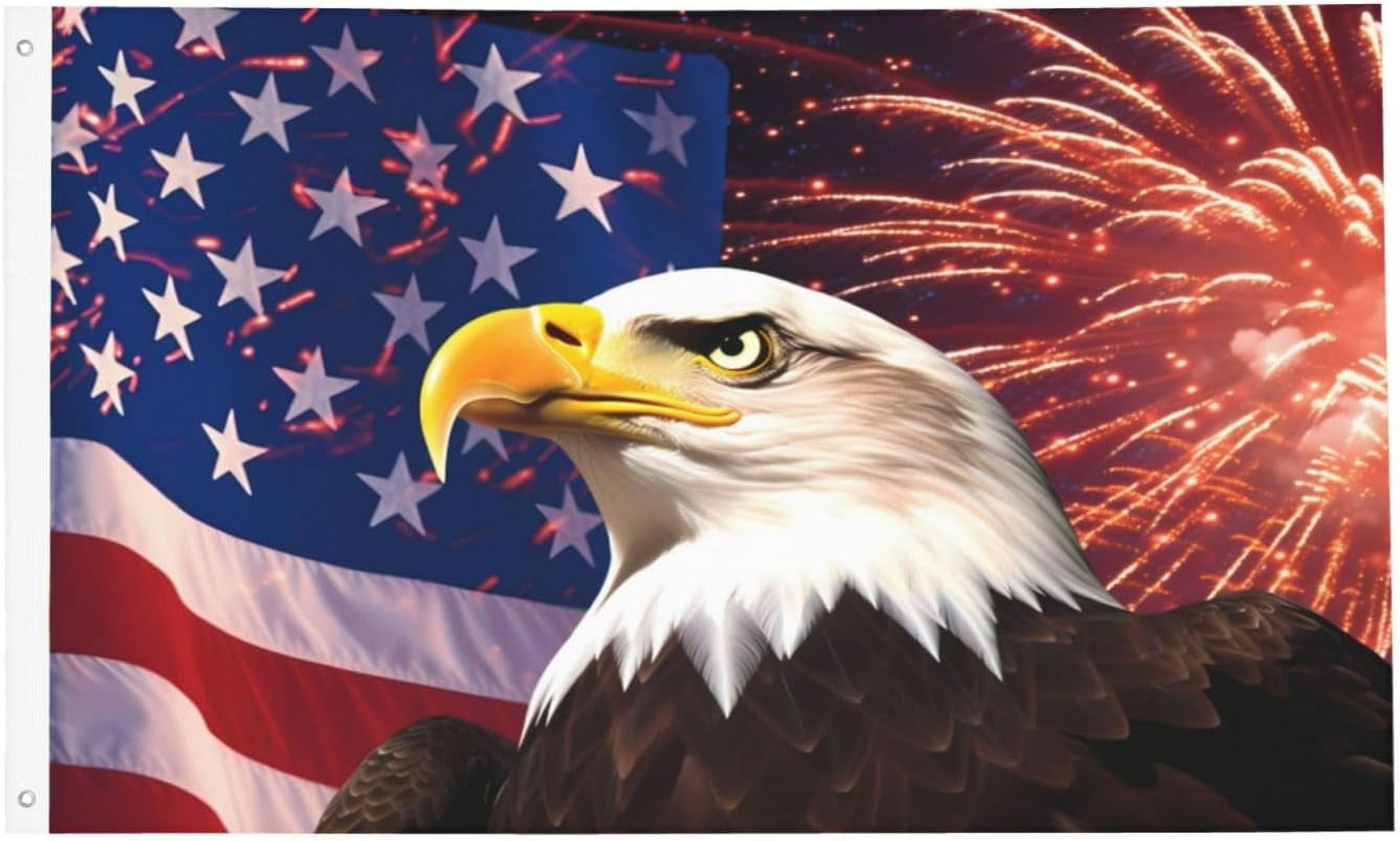 America Flag Double Sided Outside Large Banner, Eagle Hanging Outdoor ...