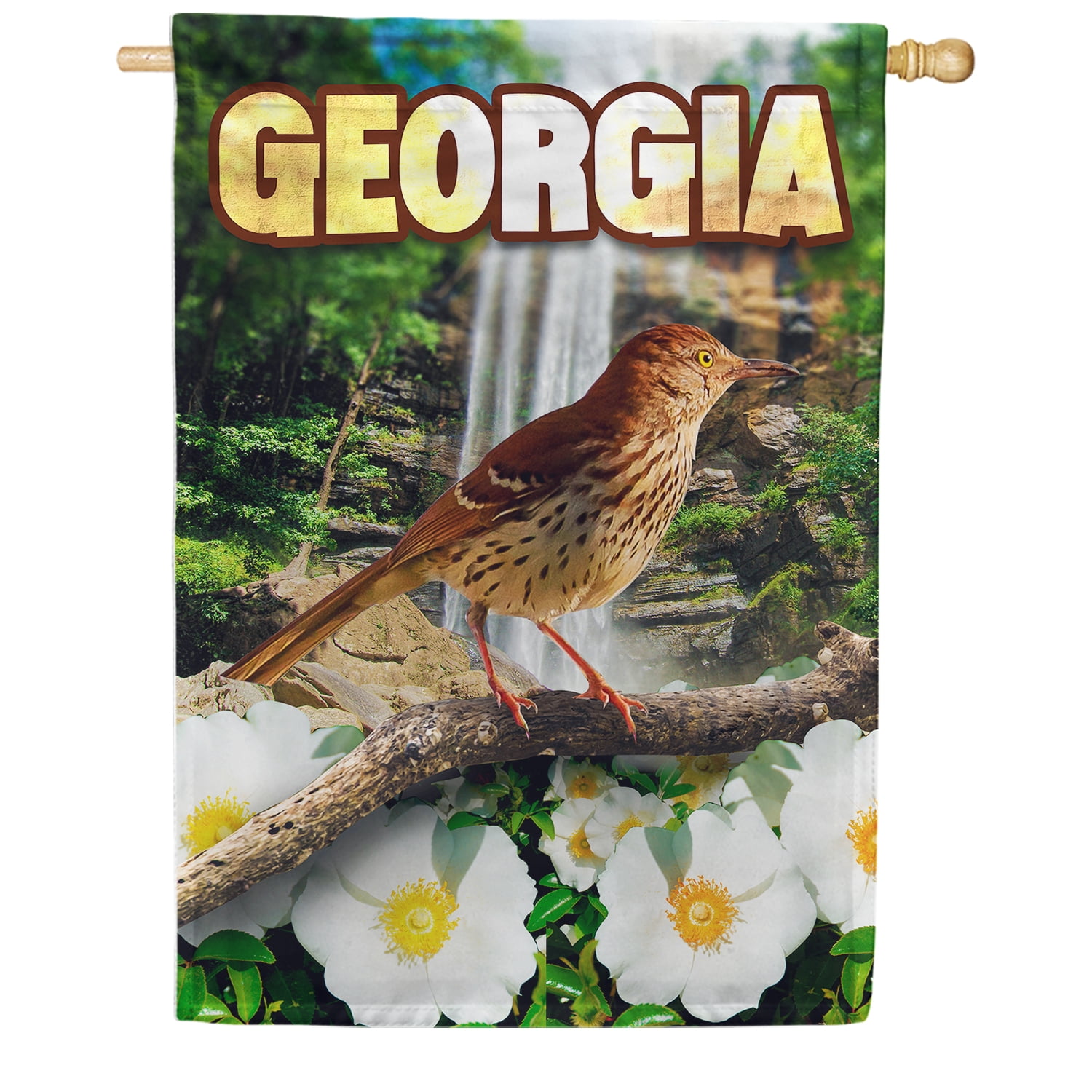 America Forever Georgia State House Flag- 28 x 40 inches - Georgia ...