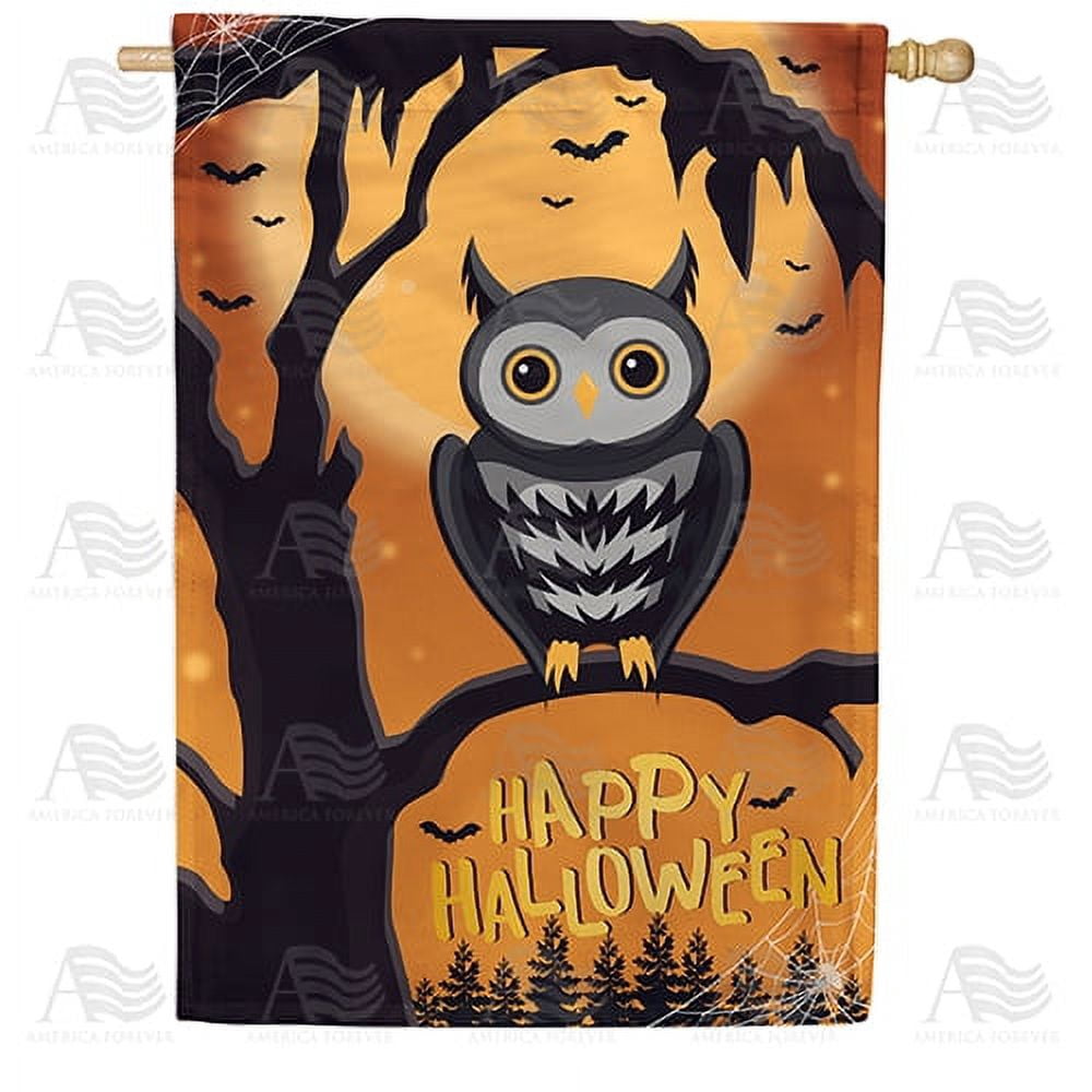 America Forever Happy Halloween Owl House Flag 28 x 40 inch Double ...