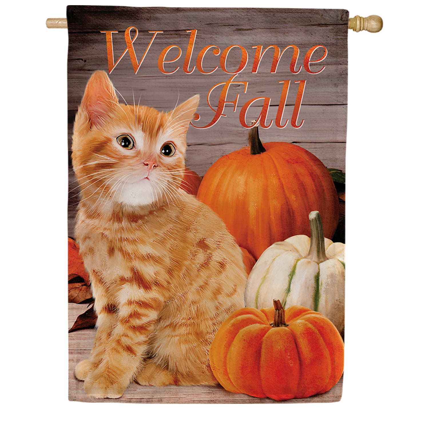 America Forever Orange Tabby Welcome Fall Cat House Flag 28 x 40 inch ...