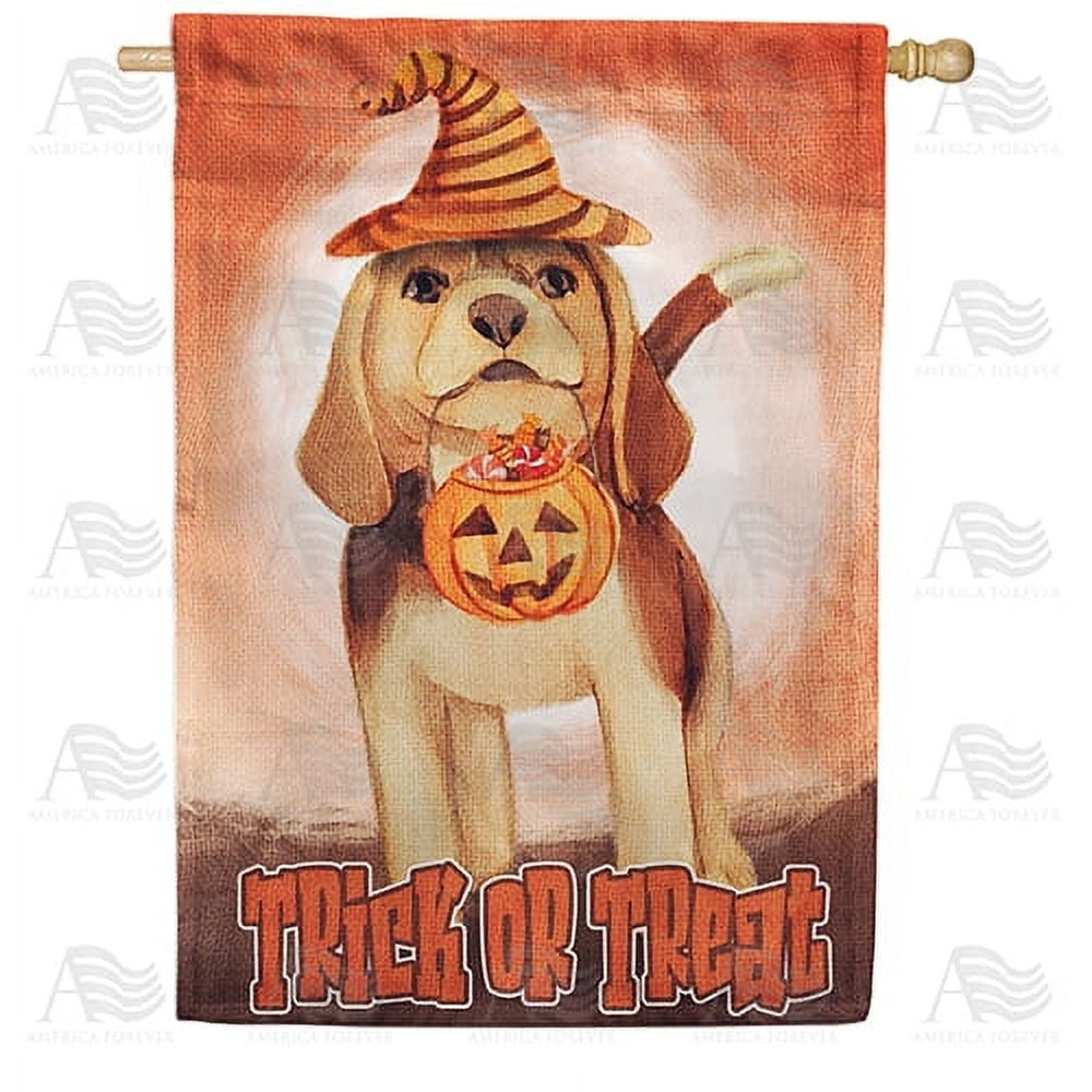 America Forever Trick or Treat Dogs Halloween House Flag 28 x 40 inch ...