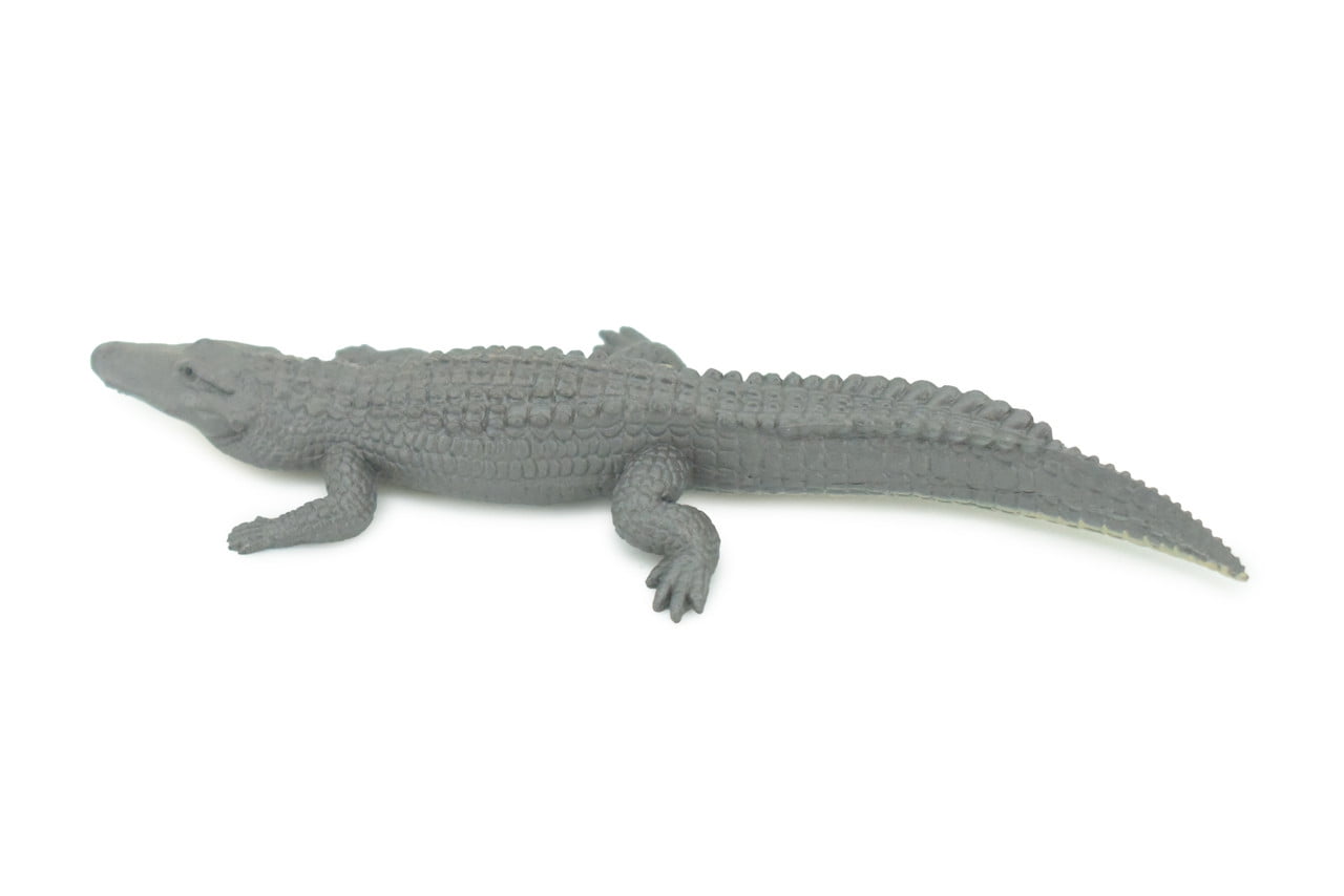 American Alligator, Alligator mississippiensis, Hand Painted ...