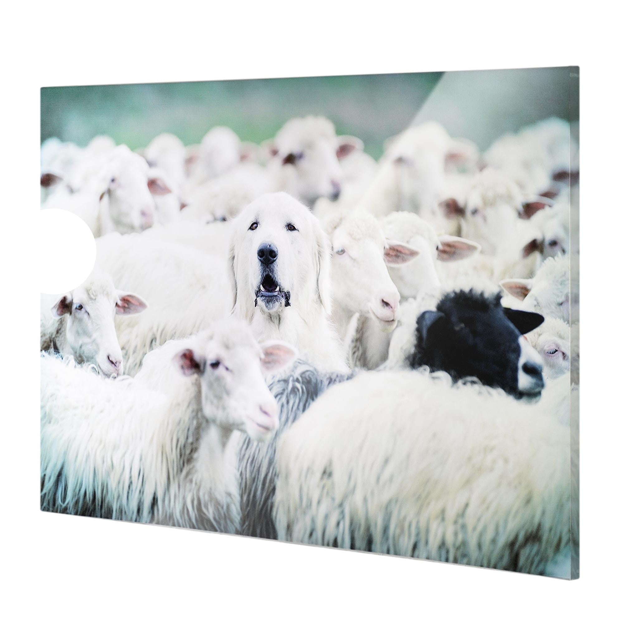 American Art Decor Good Shepherd Dog with Sheep Glossy Lacquer Canvas ...