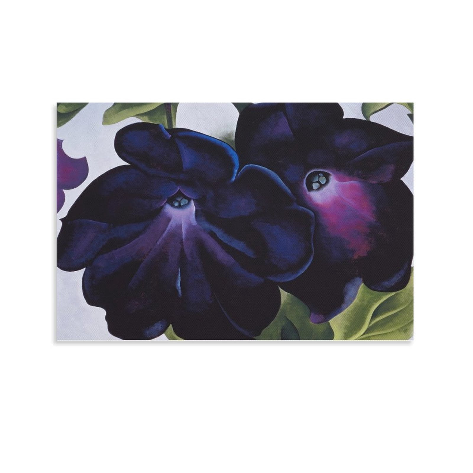 American Artist Georgia O'Keeffe Black And Purple Petunia Poster Gifts ...
