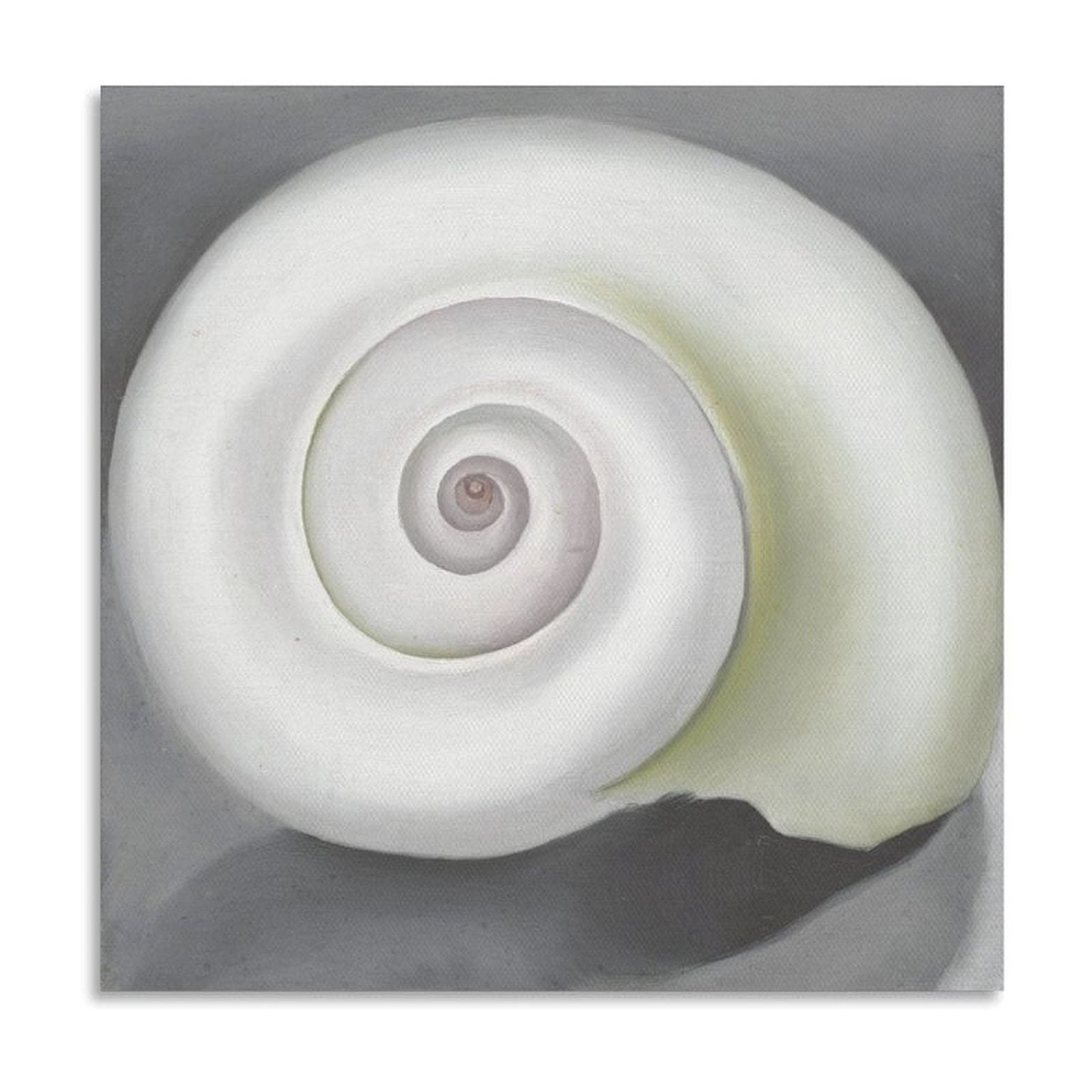 American Artist Georgia O'Keeffe Shell Poster Canvas Art Poster and ...