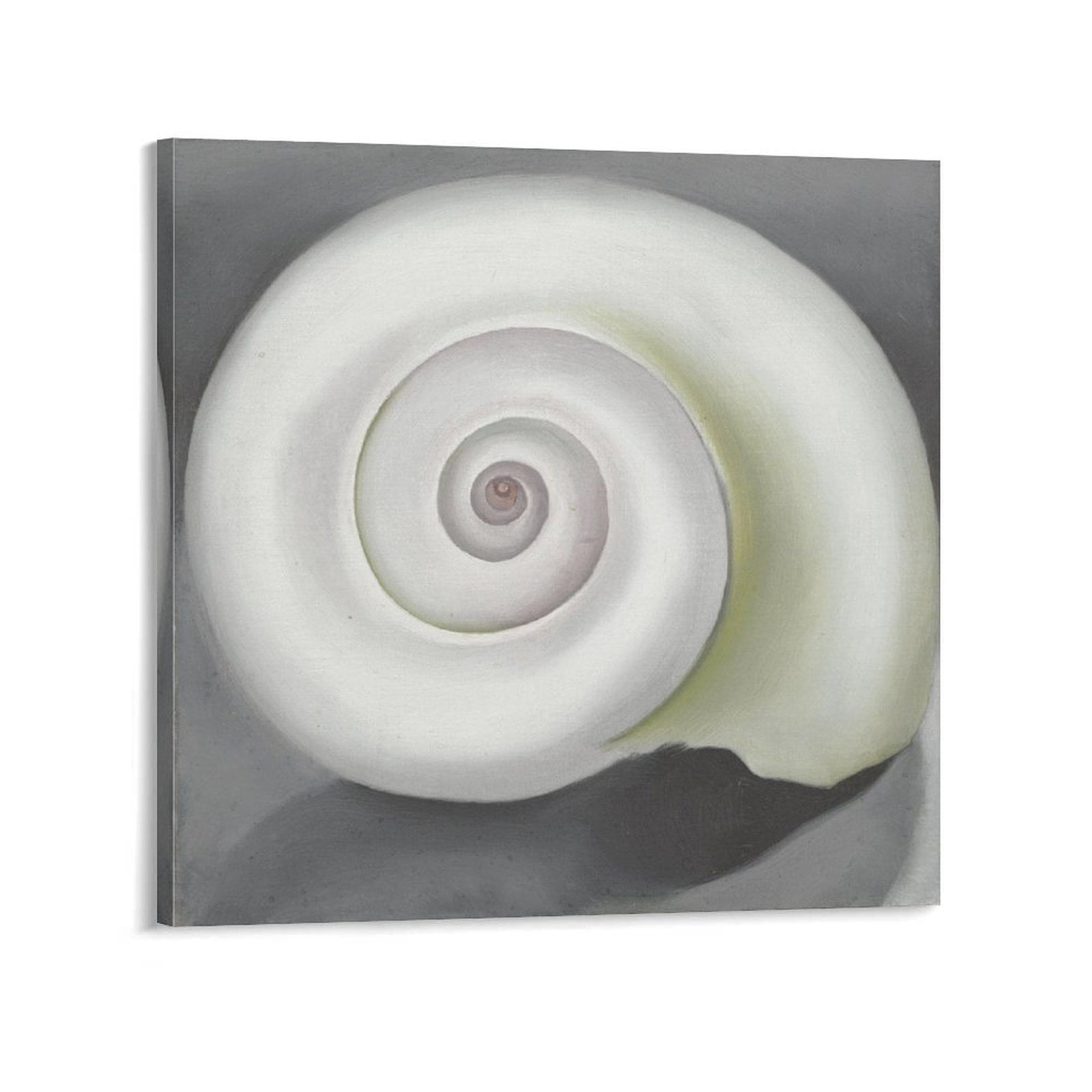 American Artist Georgia O'Keeffe Shell Poster Canvas Wall Art Poster ...