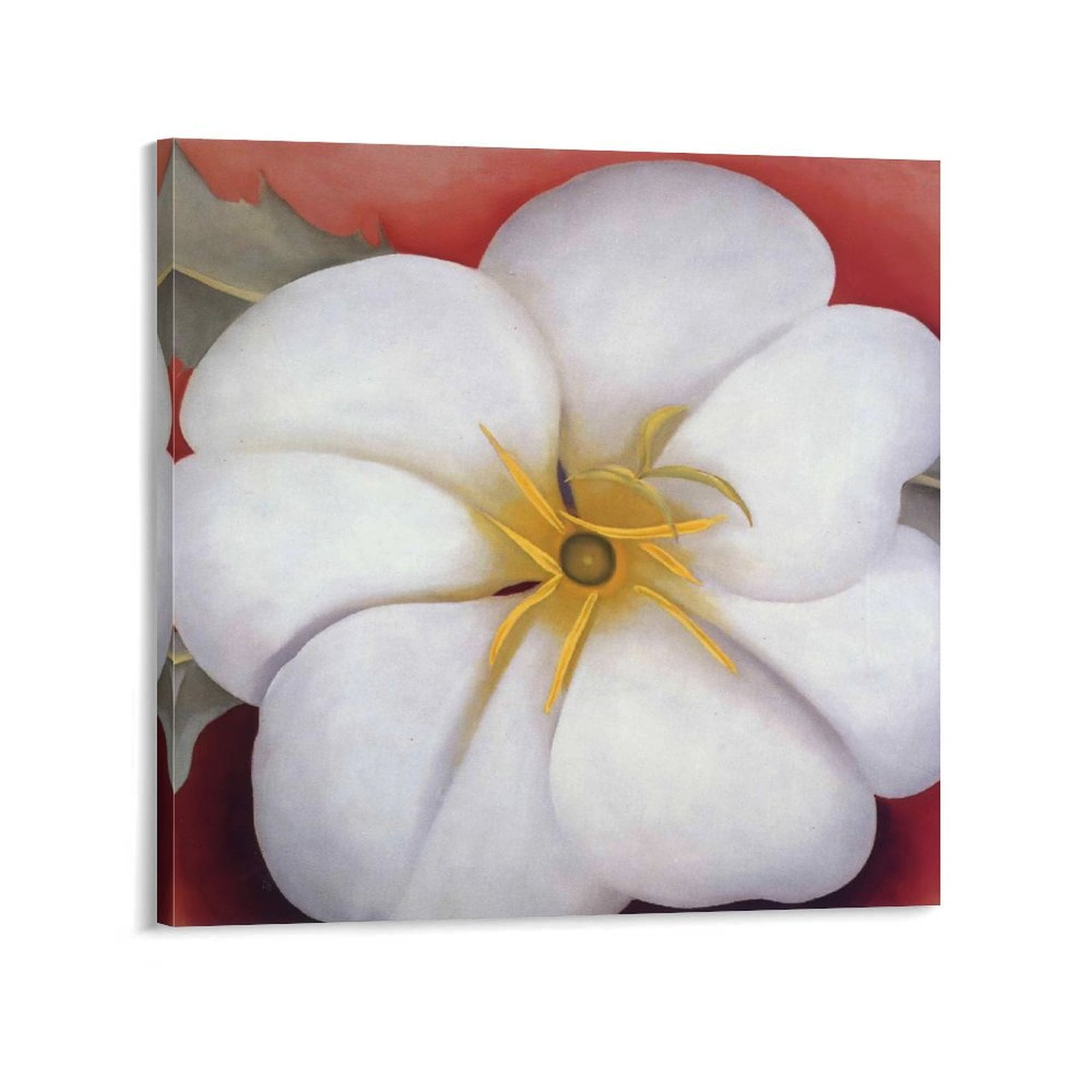 American Artist Georgia O'Keeffe White Flower on Red Earth Poster ...