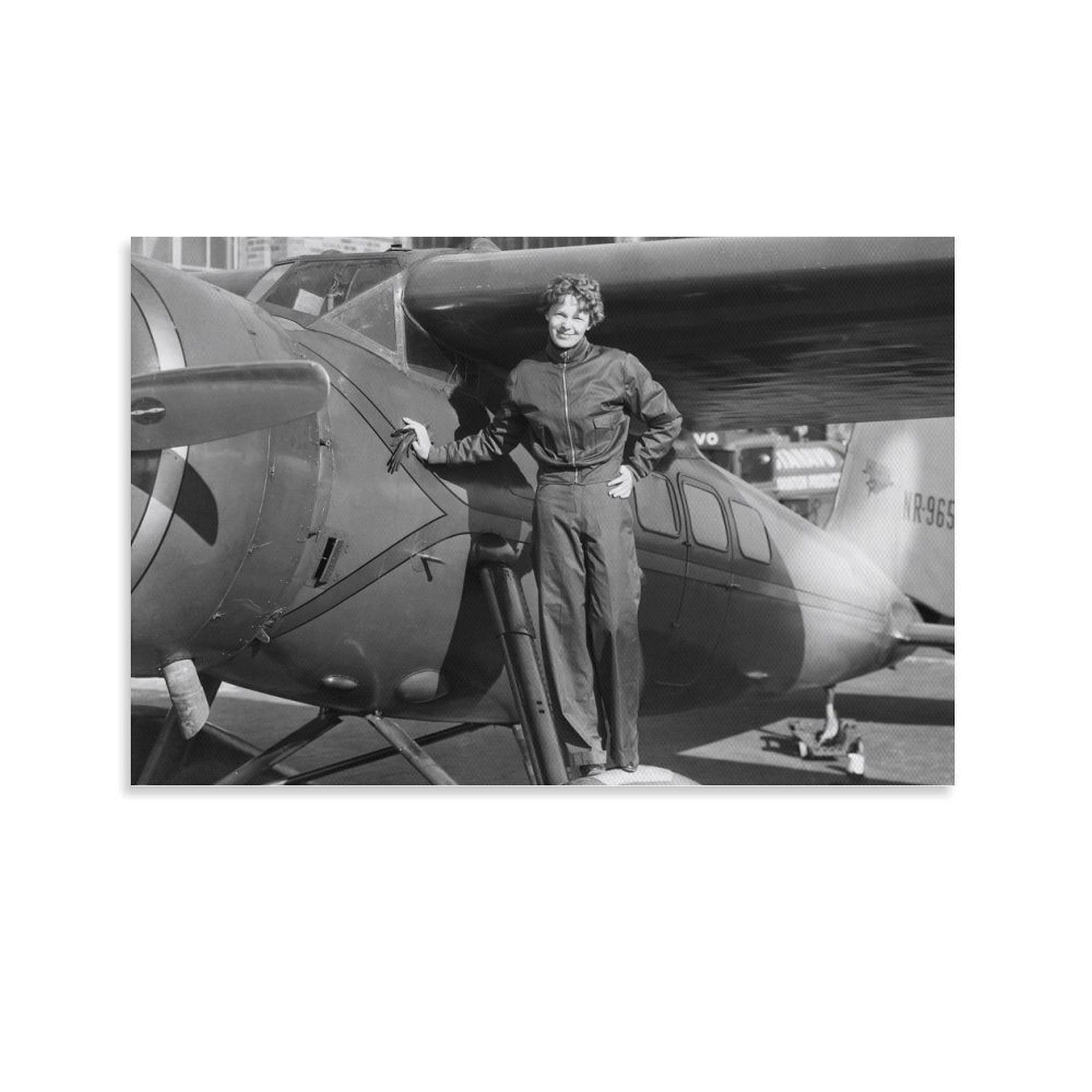 American Aviation Pioneer And Writer Amelia Earhart Poster Posters Art ...