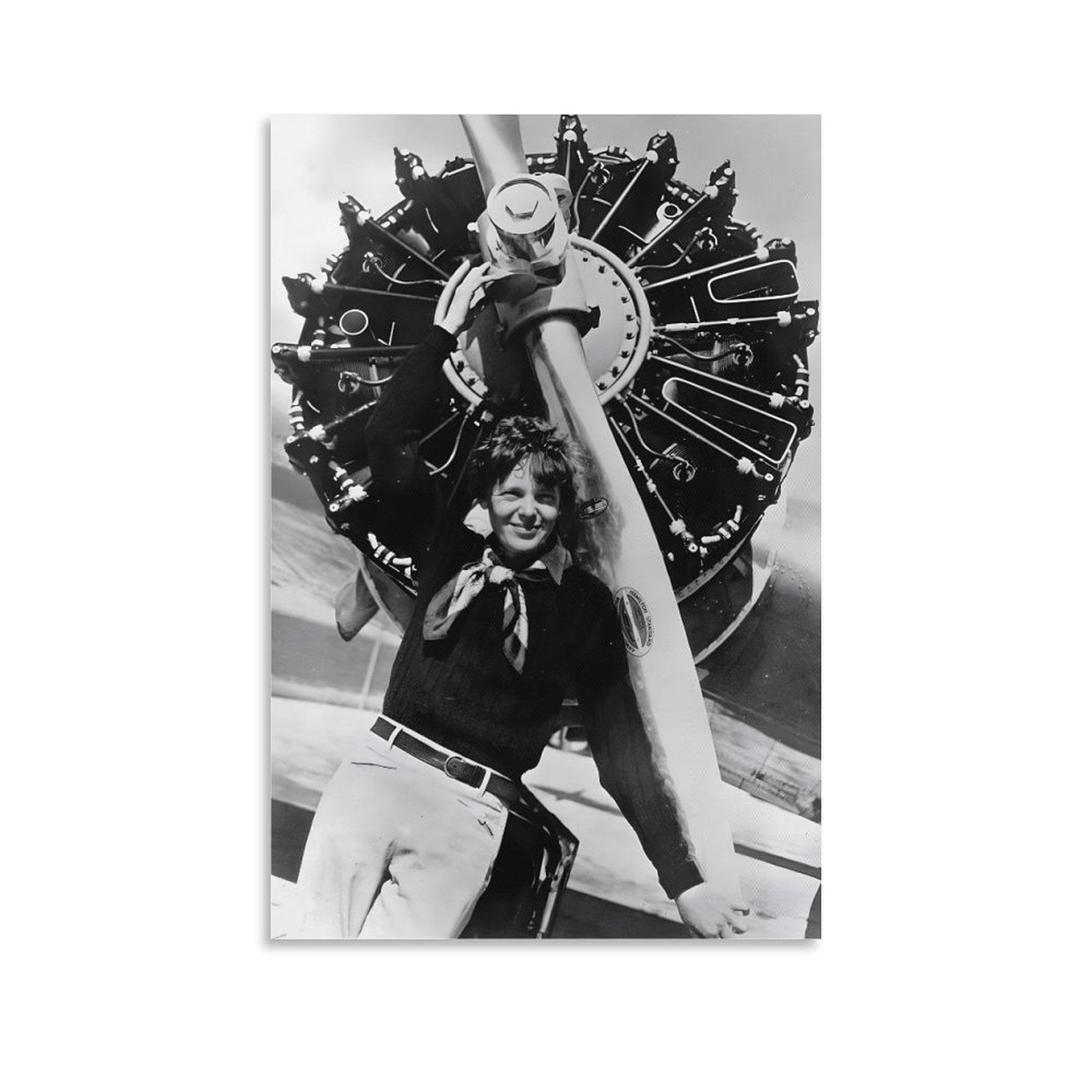 American Aviation Record Holders Amelia Earhart Poster (3) Poster Cool ...