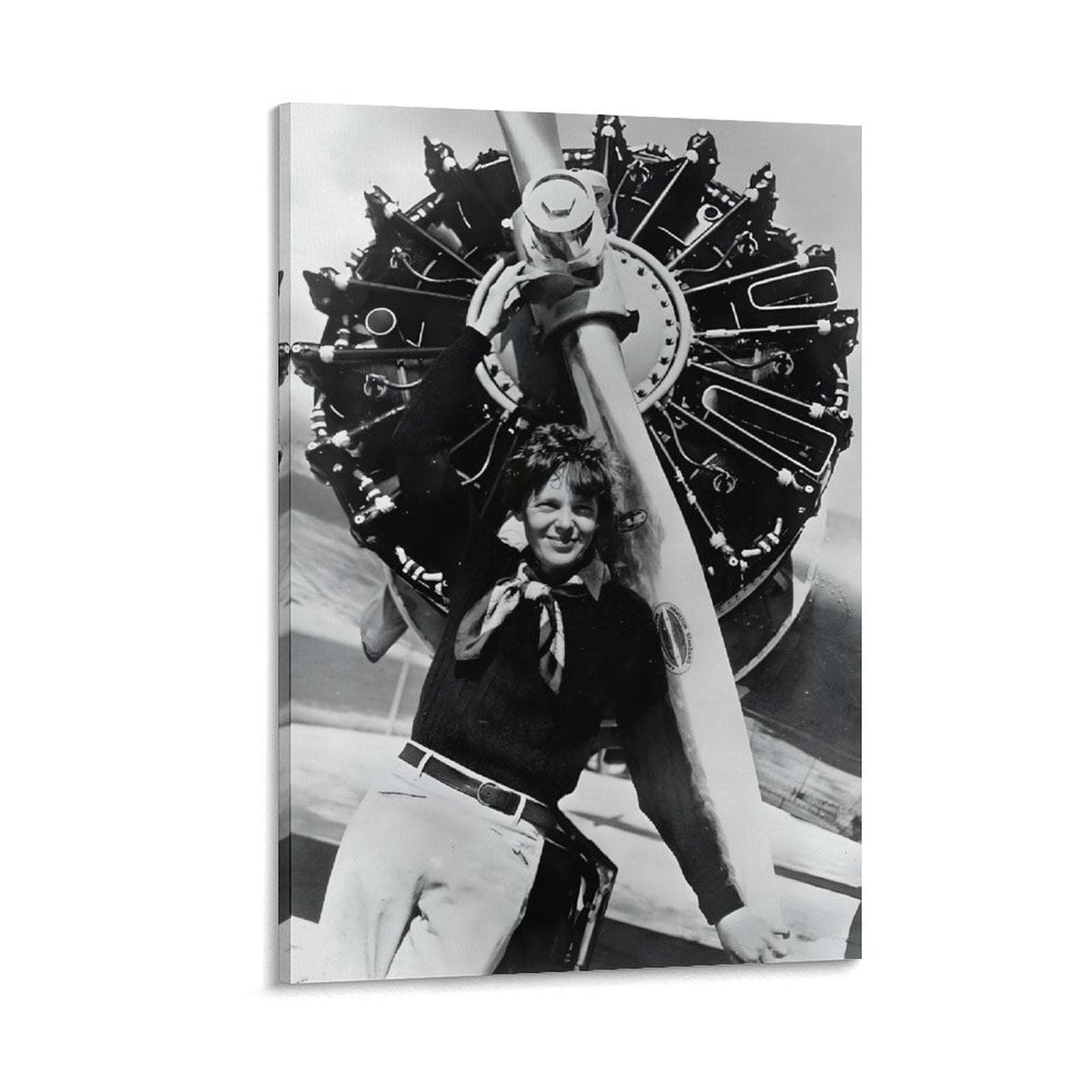 American Aviation Record Holders Amelia Earhart Poster (3) Painting On ...