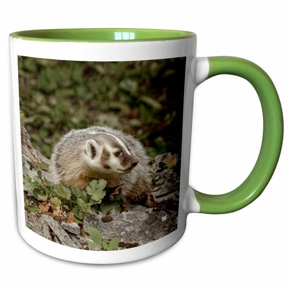 3drose, American Badger., 15oz Two-tone Green Mug - Walmart.com