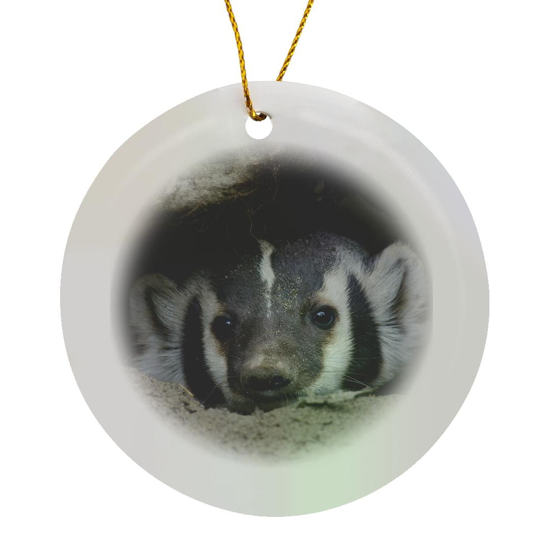 3drose, American Badger Peeking Out of Den, Circle Porcelain Ornament ...