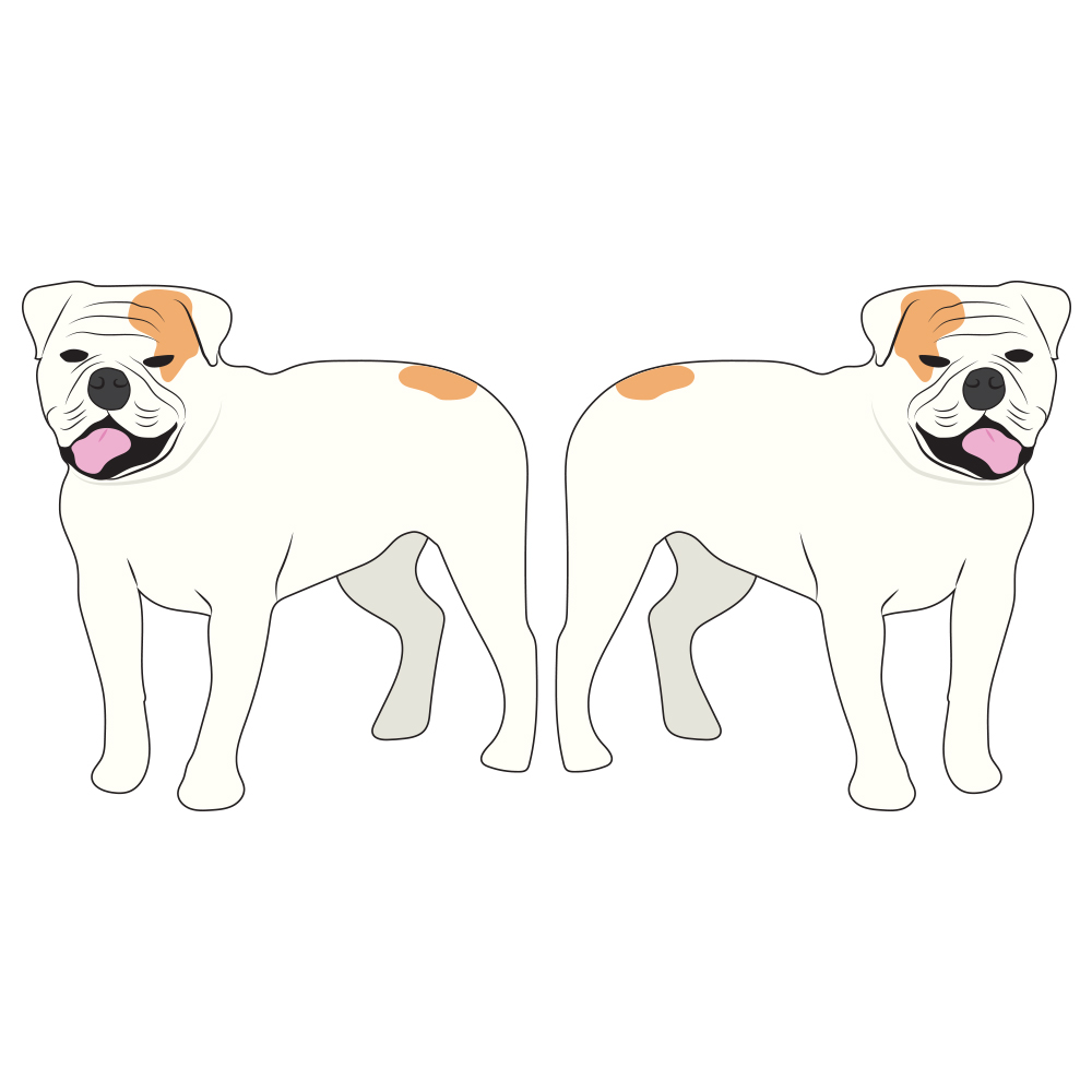 American Bulldog Decal | Indoor/Outdoor | Dog Lover Super Cute Sticker ...